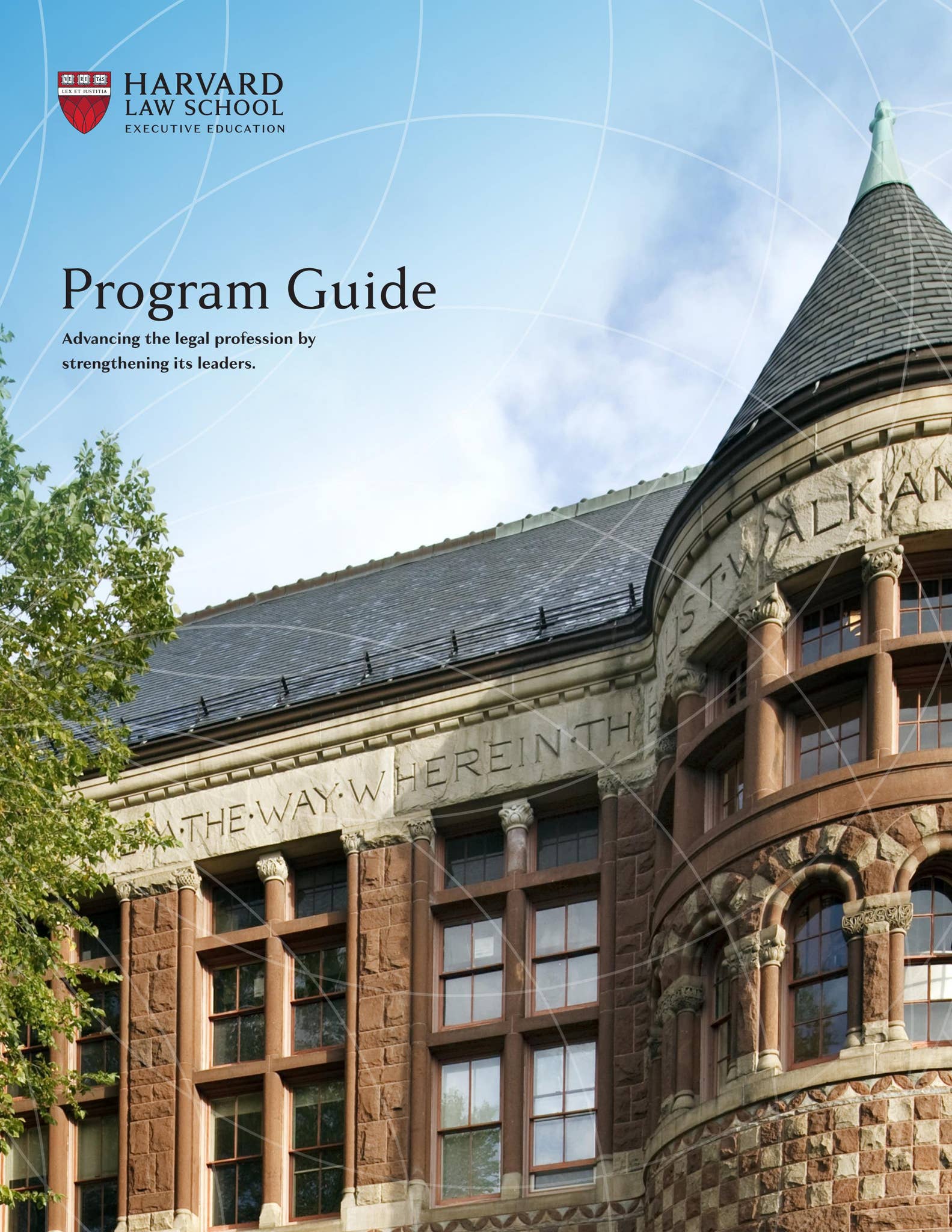 HLS Executive Education Program Guide 2025 by hlsee - Issuu
