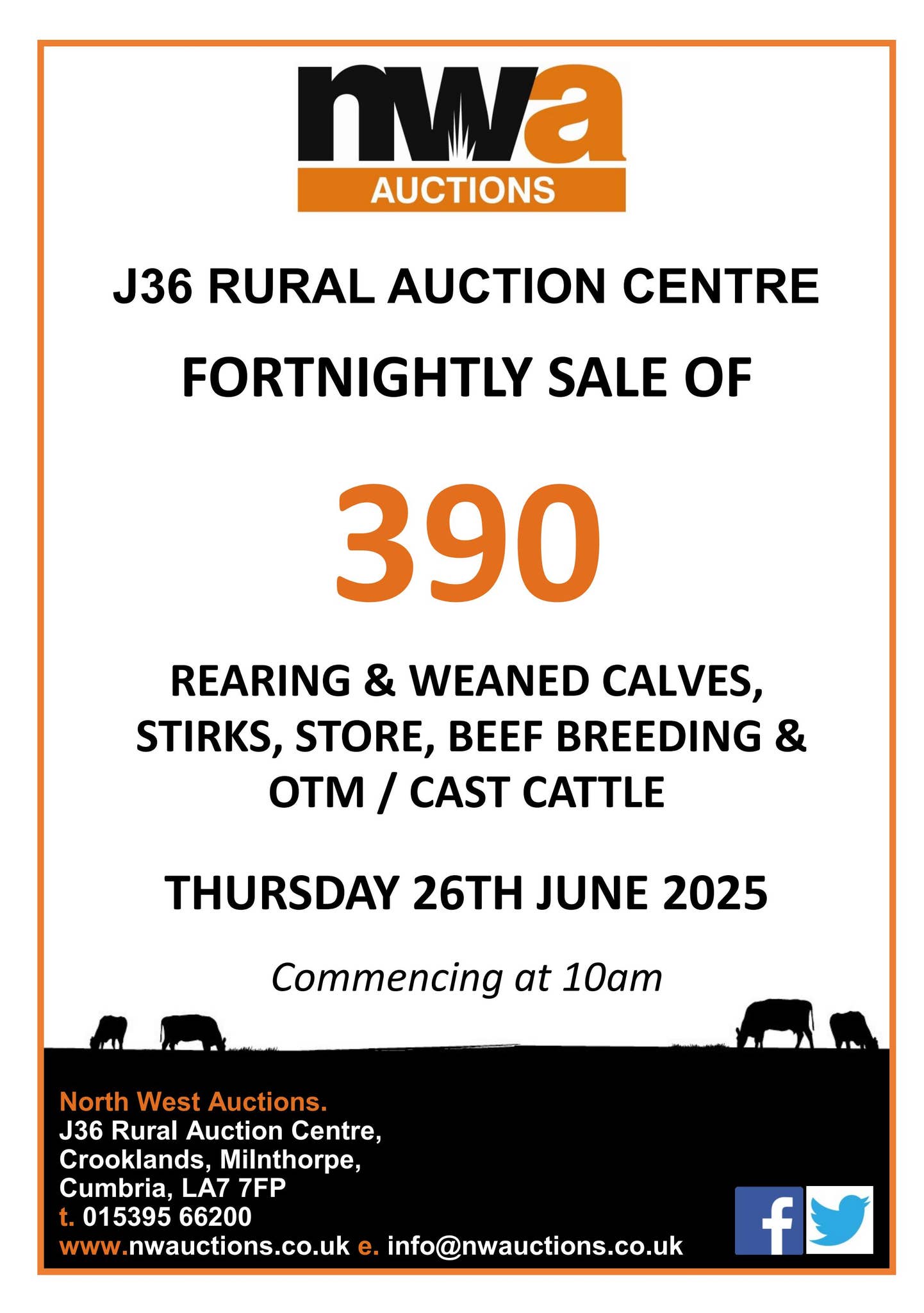 J36 Store Cattle 260625 by North West Auctions - Issuu