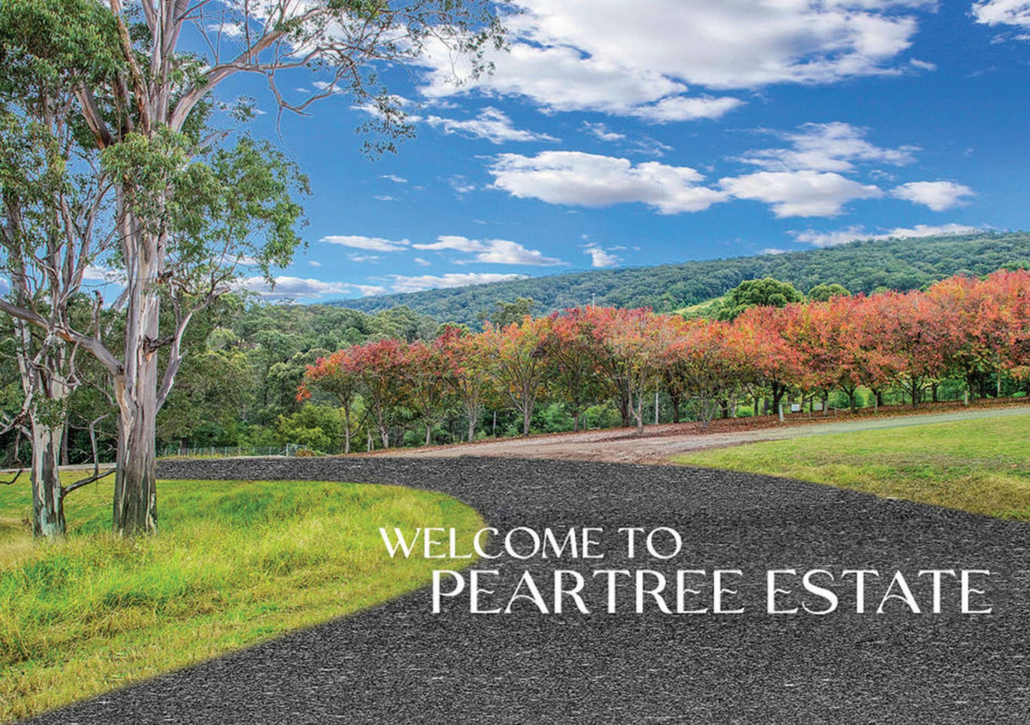 Peartree Hill Road 6pp Brochure - ISSUU by remagazines - Issuu