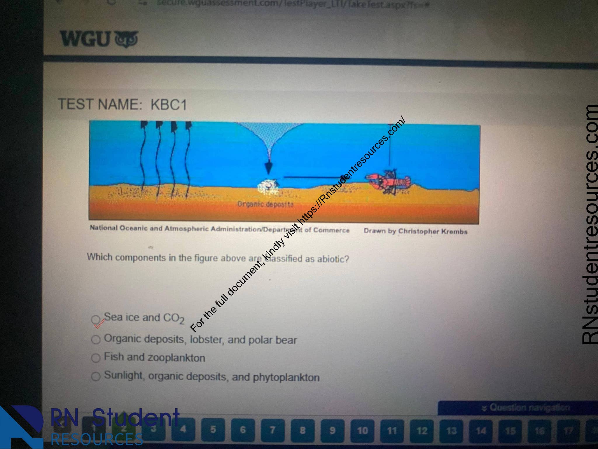 WGU Introduction to Biology C190 OA by RN Student Resources - Issuu