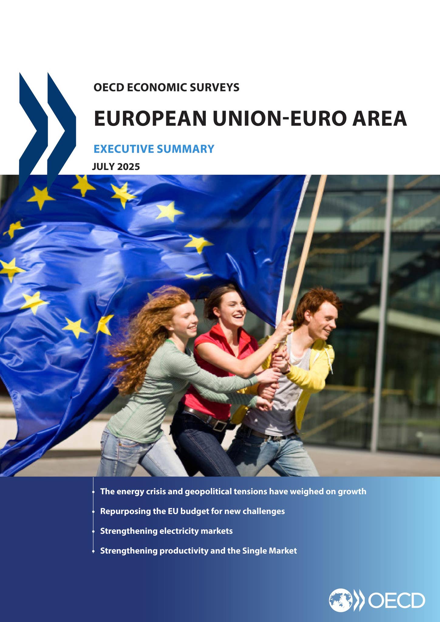 European Union-Euro Area brochure 2025 by OECD - Issuu