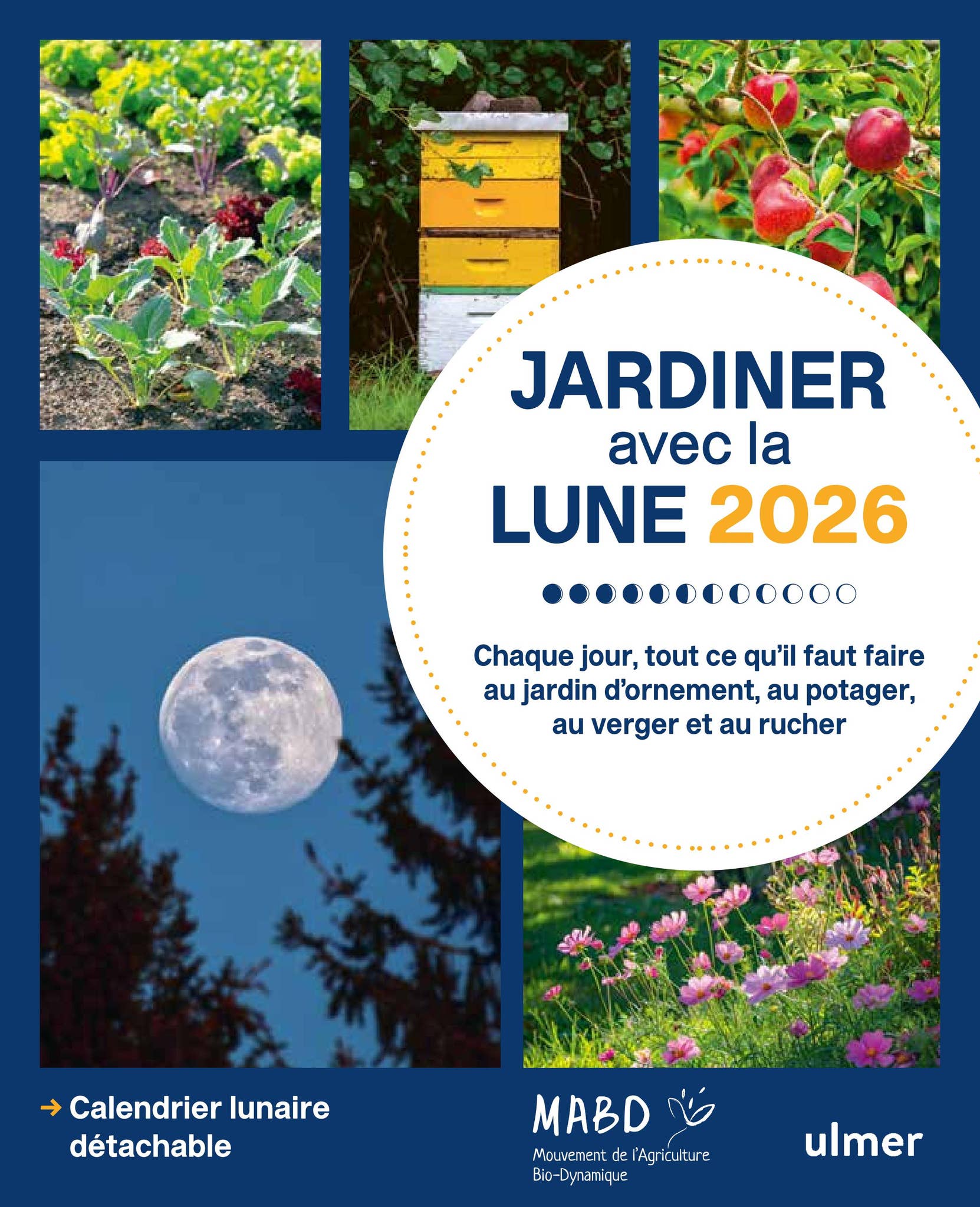 Extrait Jardiner avec la Lune en biodynamie 2026 by Éditions Ulmer - Issuu