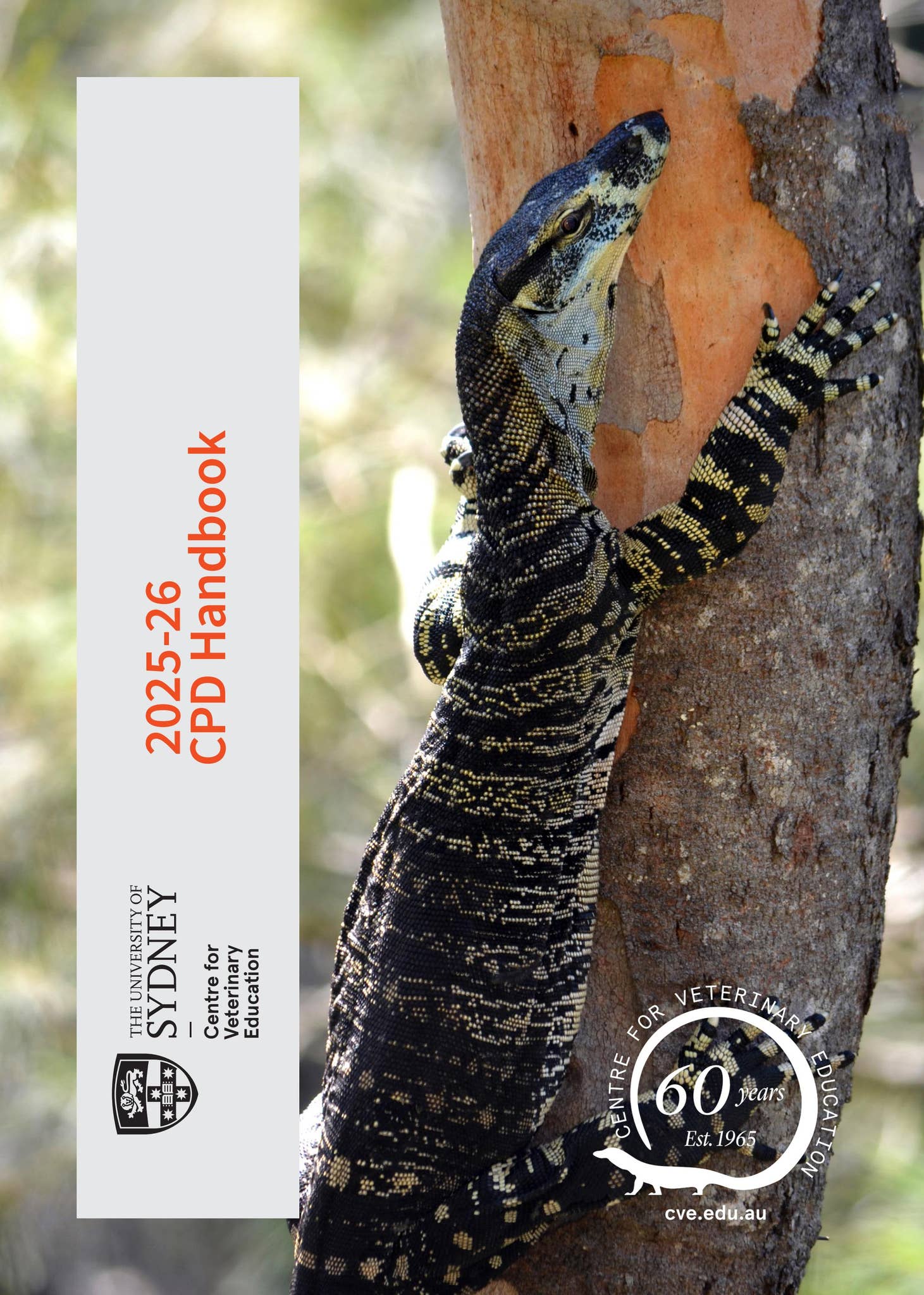 2025-26 CPD Handbook by Control & Therapy (C&T) Series - Issuu