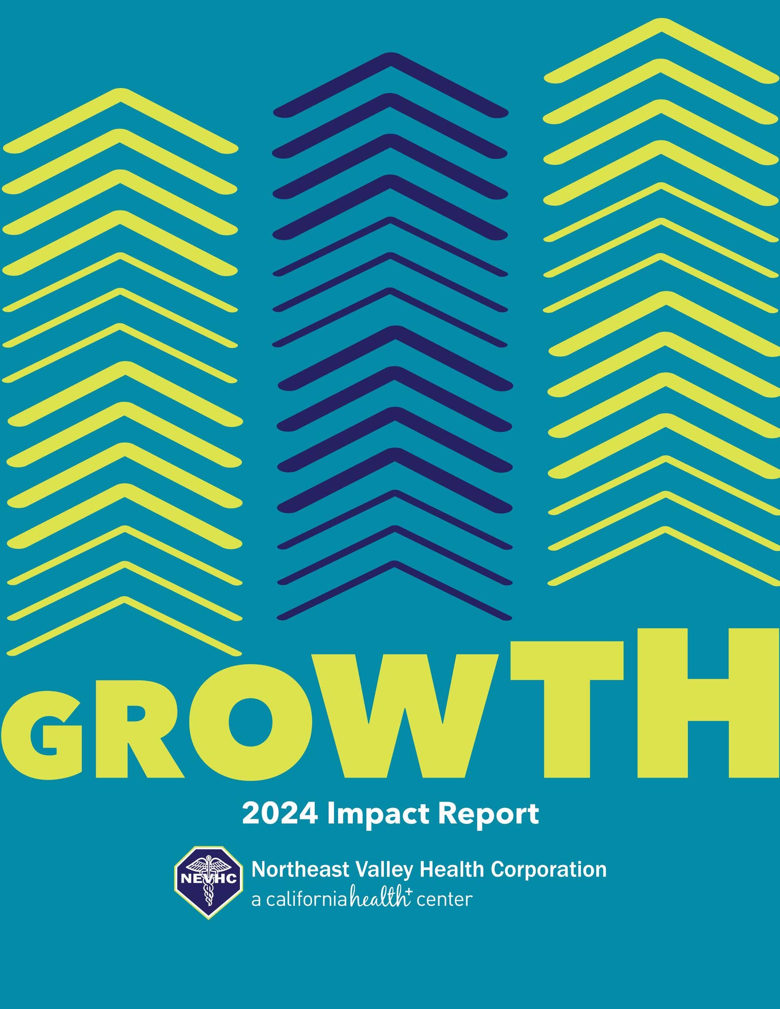 NEVHC 2024 Impact Report by Northeast Valley Health Corporation (NEVHC ...