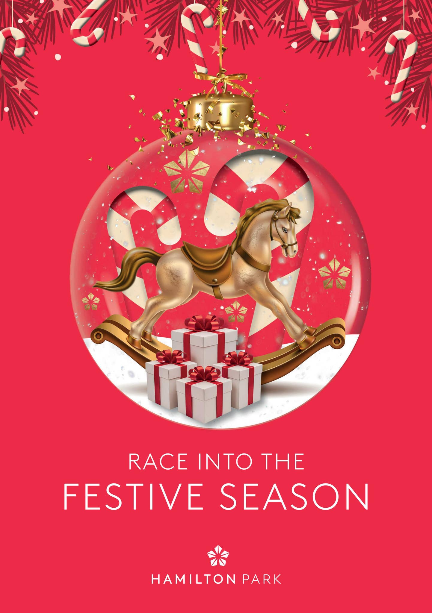 Hamilton Park 2025 Christmas Brochure by hamilton-park.co.uk - Issuu