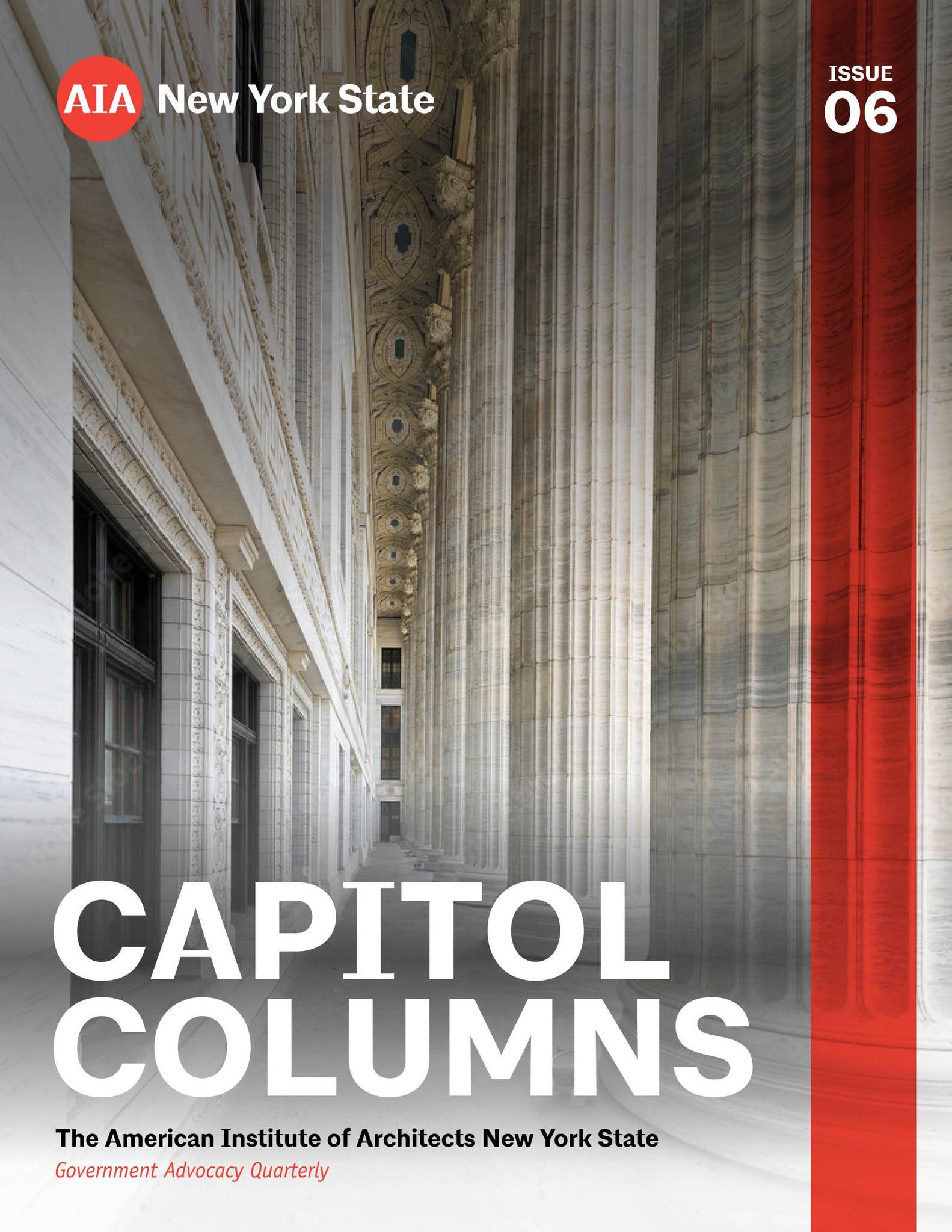 AIANYS Capitol Columns | Issue 6 | July 2025 by American Institute of ...