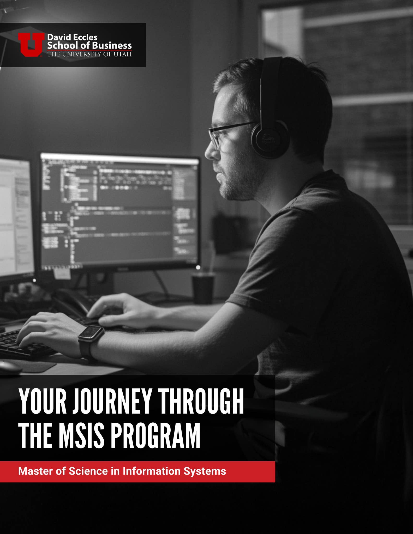 Master of Science in Information Systems (MSIS) Brochure by University ...