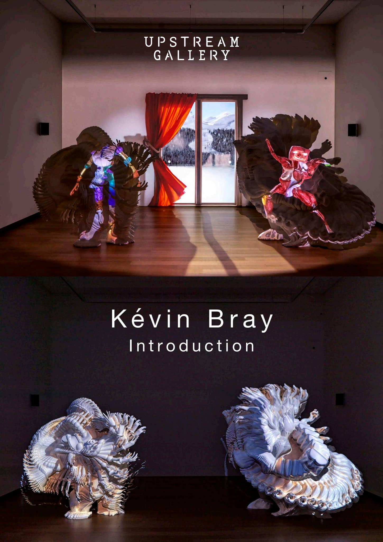 Kévin Bray - Introduction 2025 by Upstream Gallery - Issuu