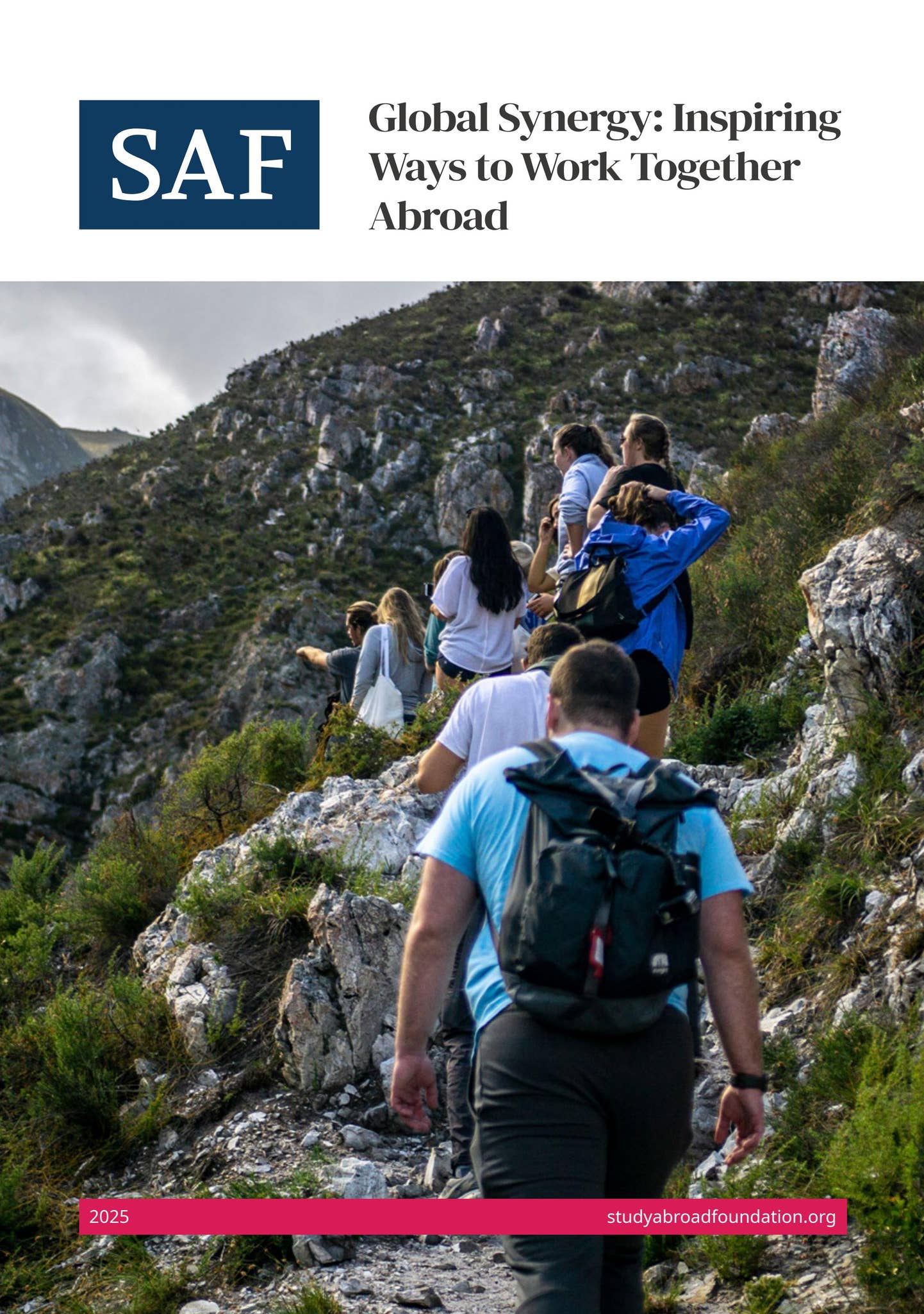 Global Synergy: Inspiring Ways to Work Together Abroad by SAF - Study ...
