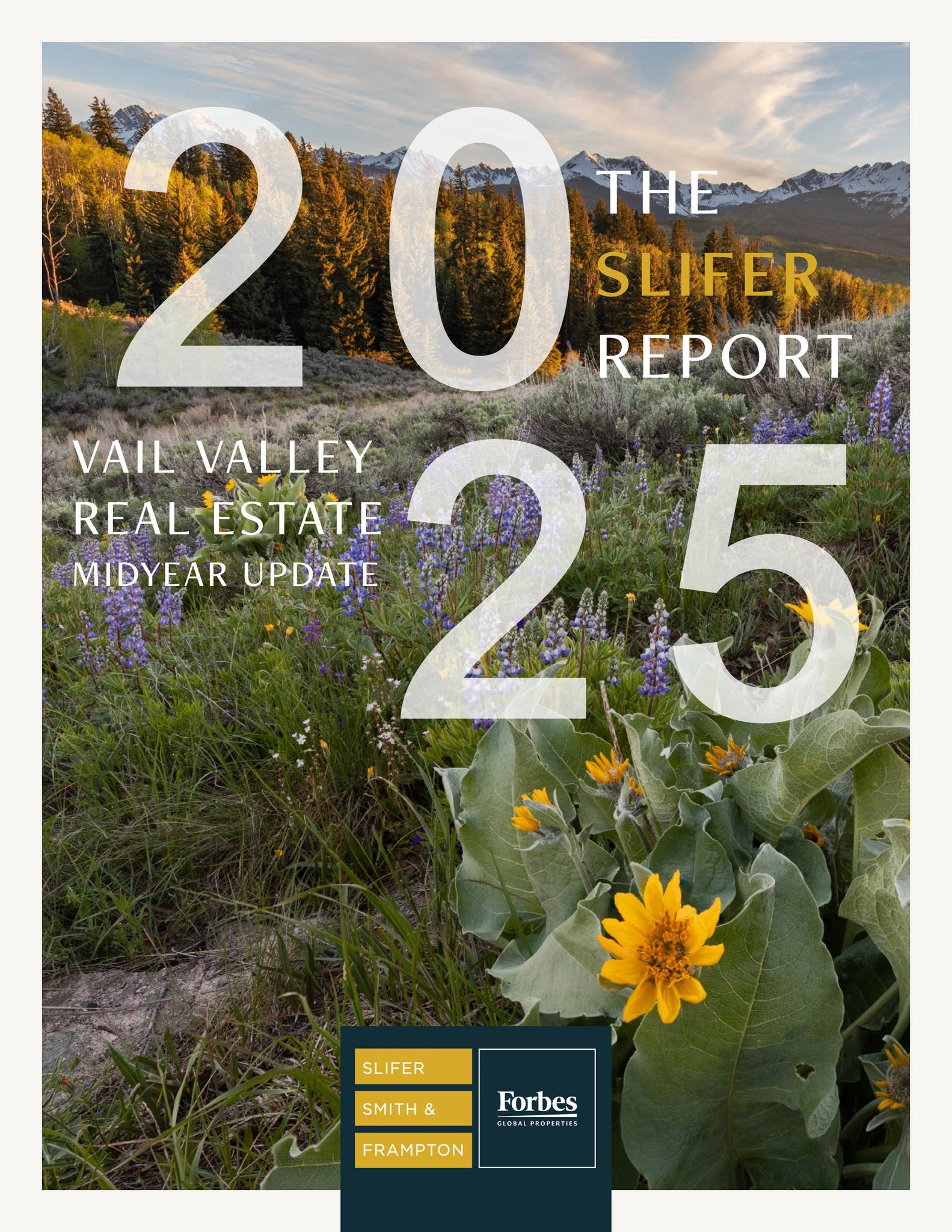 2025 Midyear Vail Valley Slifer Report by Slifer Smith & Frampton Real ...