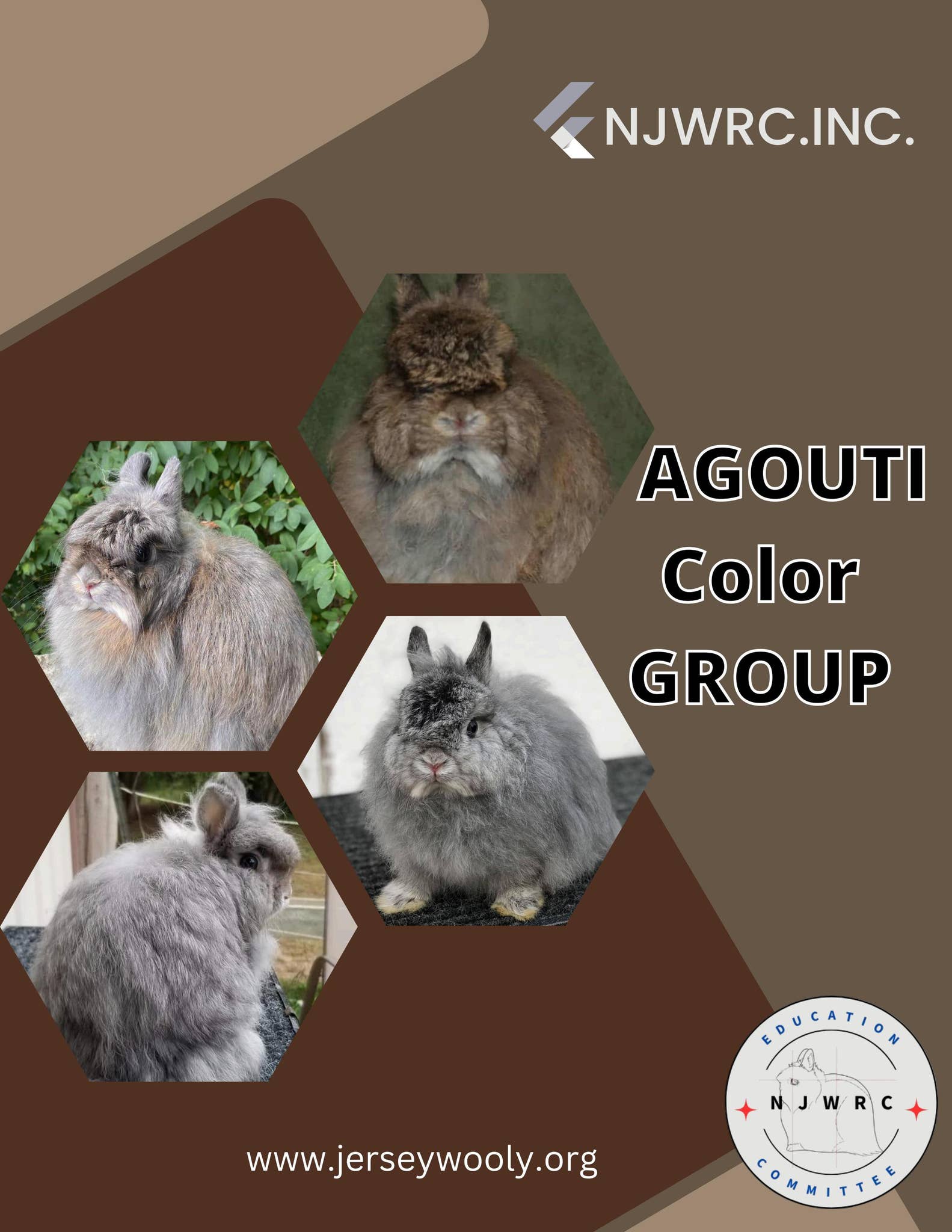 chestnut, opal, chin, squirrel (6) by NJWRC Publications - Issuu