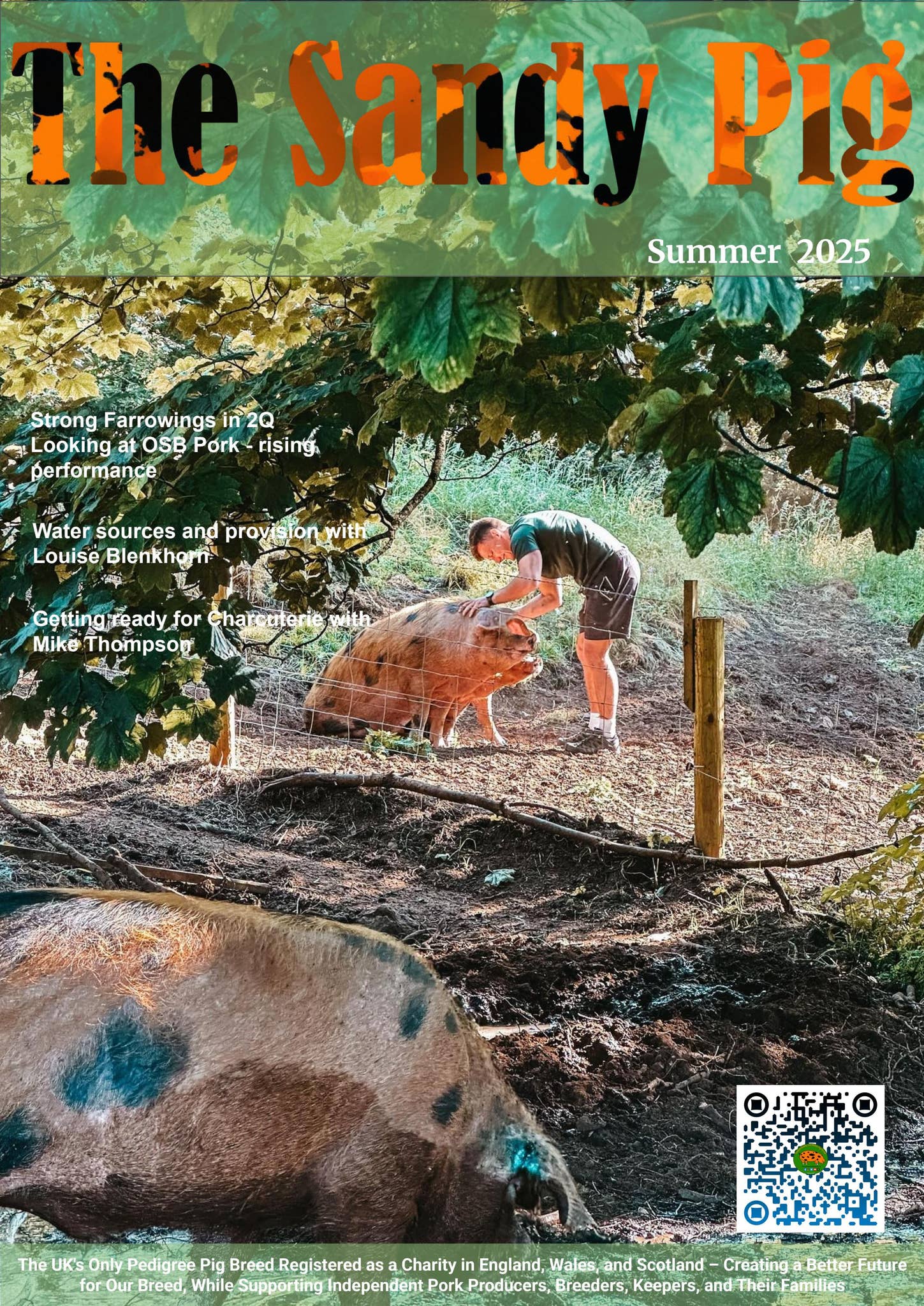 The Sandy Pig Magazine - Issue #13 Summer 2025 by Oxford Sandy Black ...