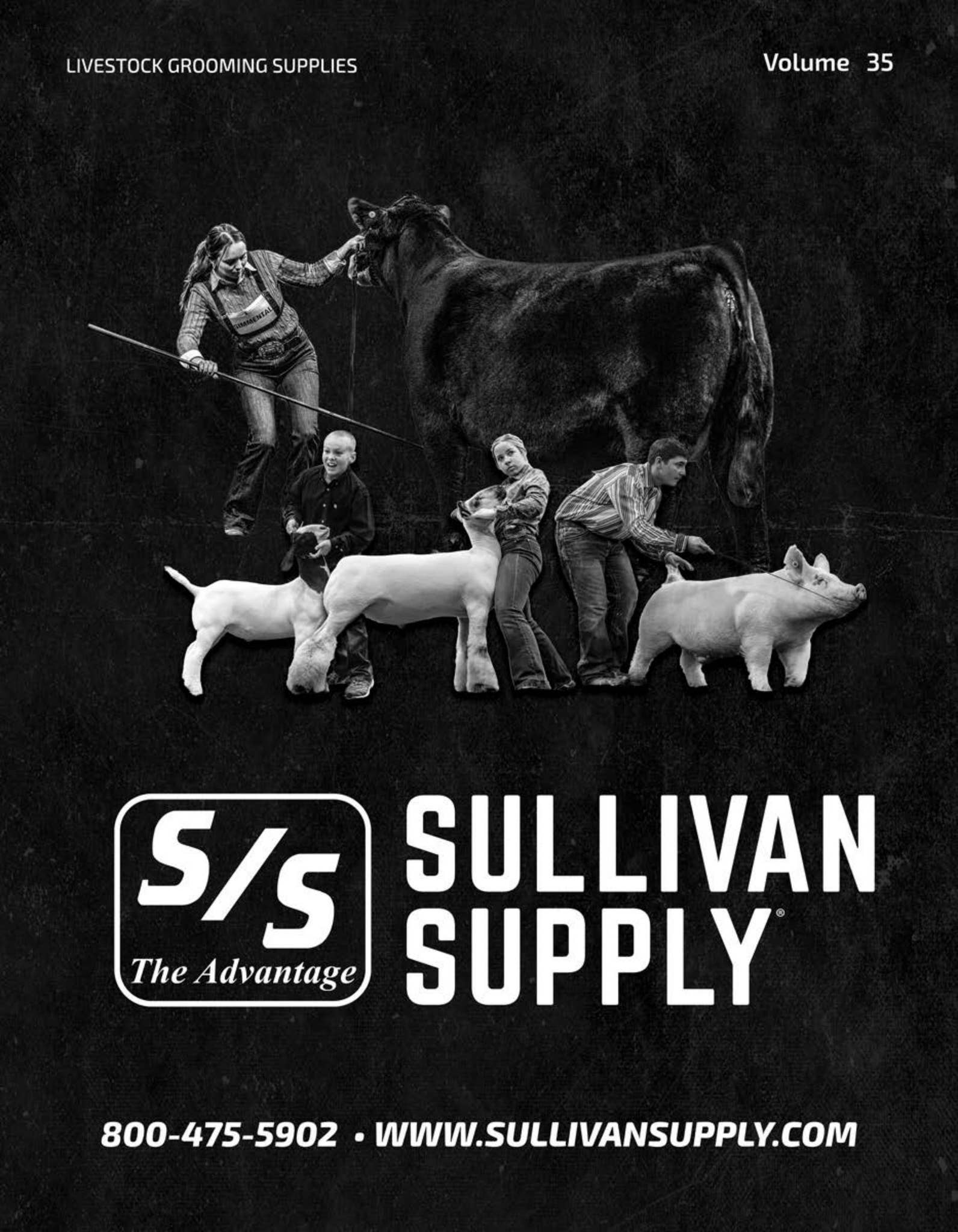 Sullivan Supply Product Catalog - Volume 35 by Sullivan Supply - Issuu