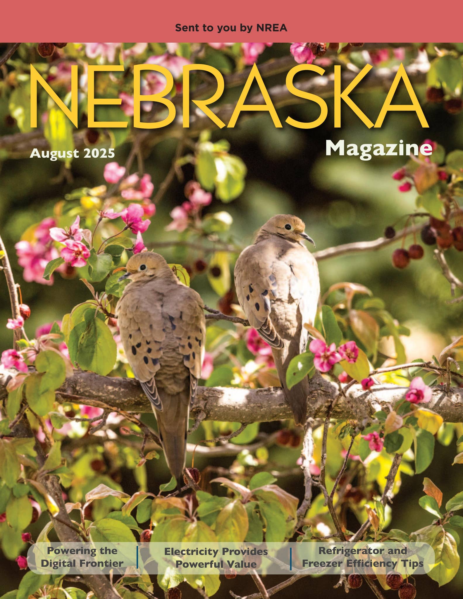 Nebraska Magazine - 08/25 by Nebraska Rural Electric Association - Issuu