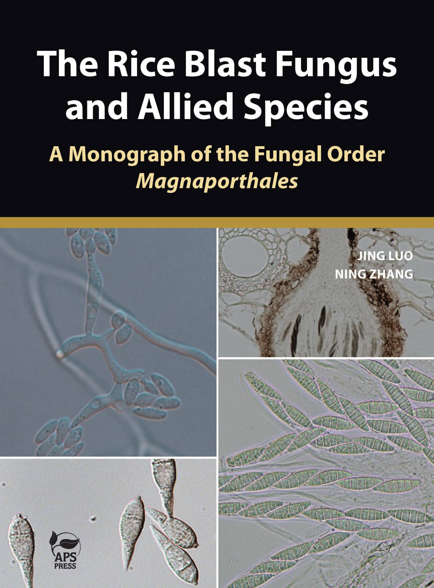 The Rice Blast Fungus and Allied Species: A Monograph of the Fungal ...