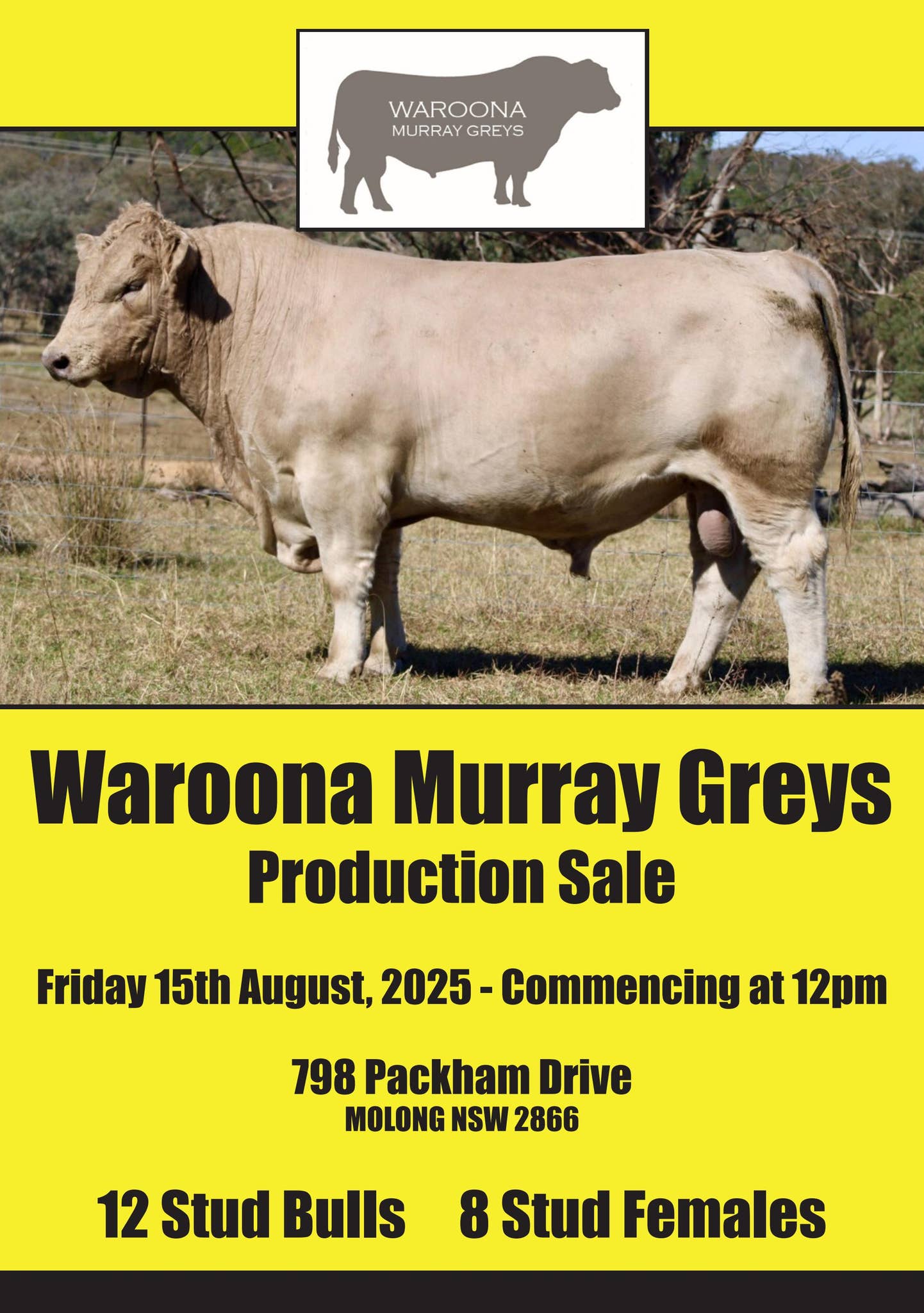 Waroona - 2025 Production Sale Catalogue by Murray Grey Soc - Issuu