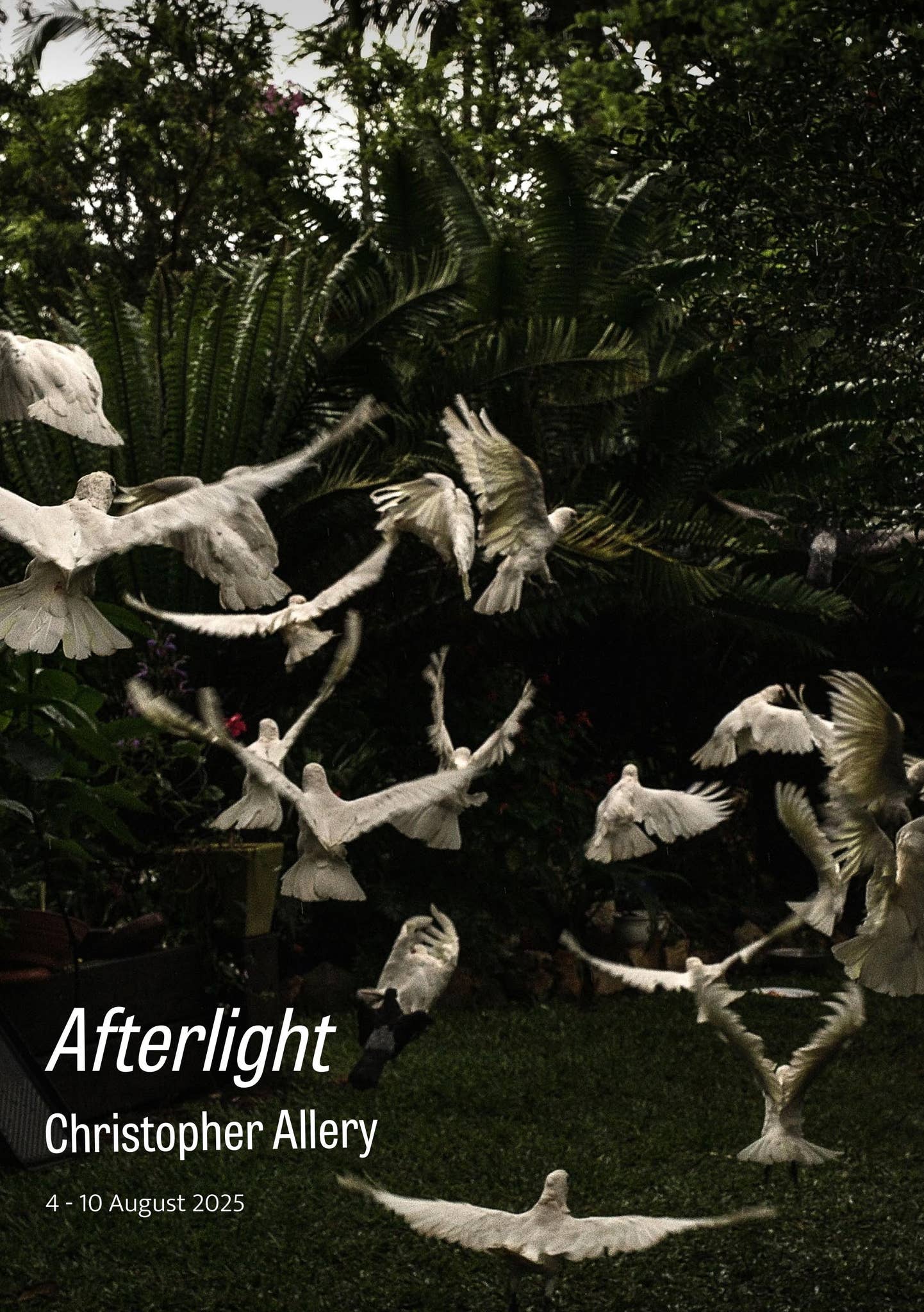 Christopher Allery Full Catalogue | Afterlight by Jan Manton Gallery ...