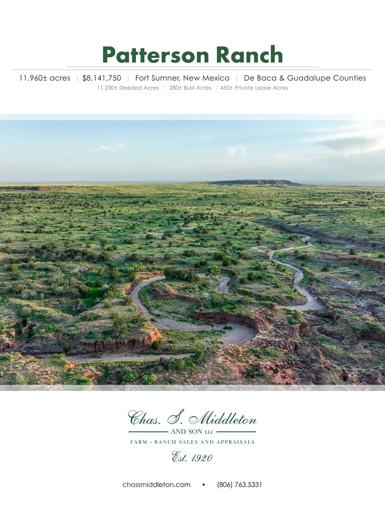 Patterson Ranch | De Baca and Guadalupe Counties, NM by csmandson - Issuu