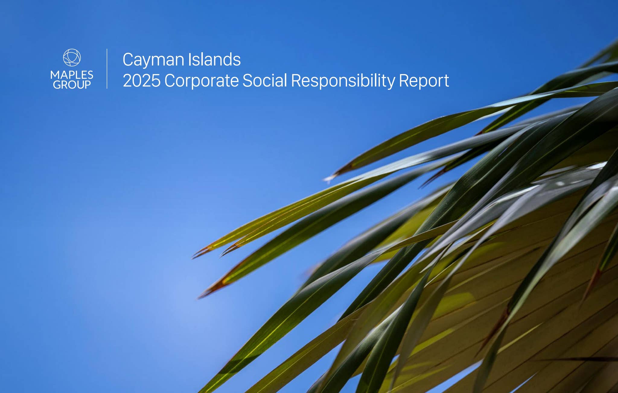 Maples Group Cayman Islands 2025 Corporate Social Responsibility Report ...