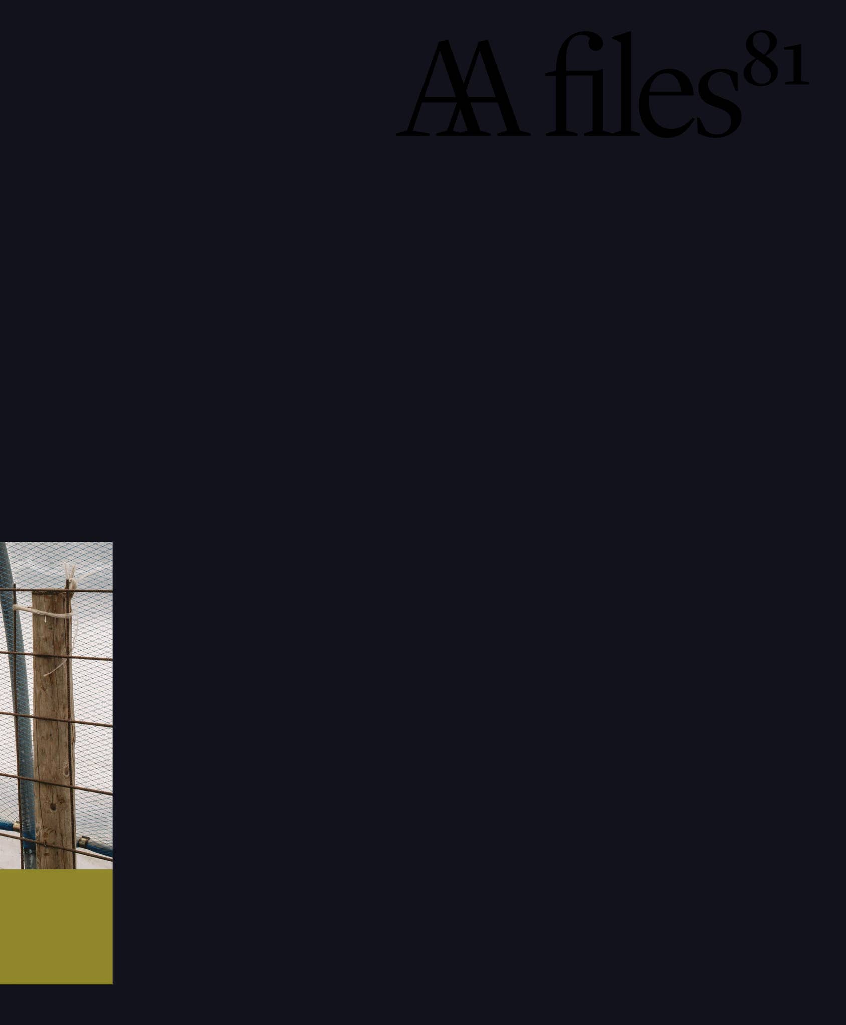 AA Files 81 Difference and Nuance by anna font - Issuu