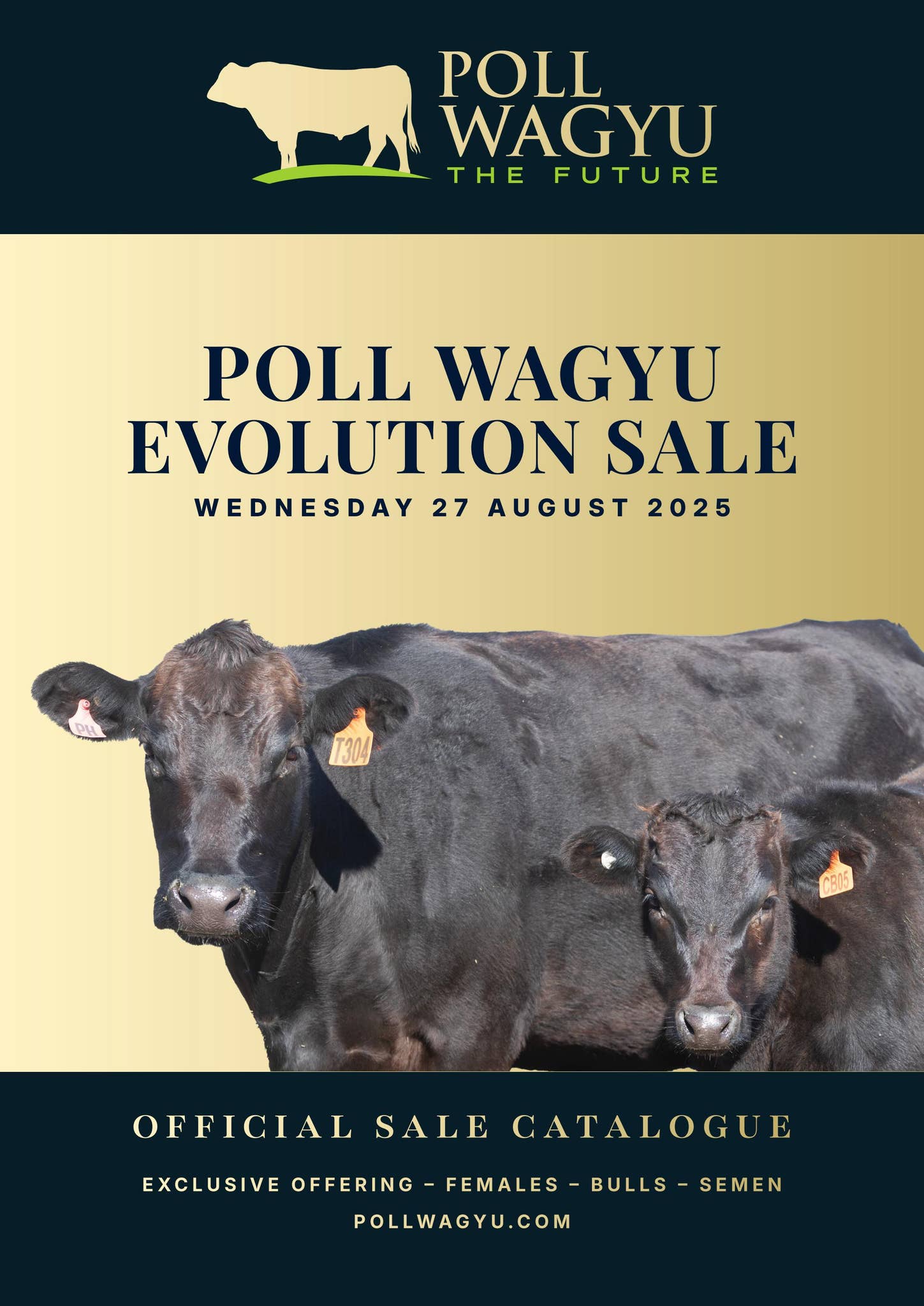 Poll Wagyu Evolution Sale 2025 by Poll Wagyu - Issuu
