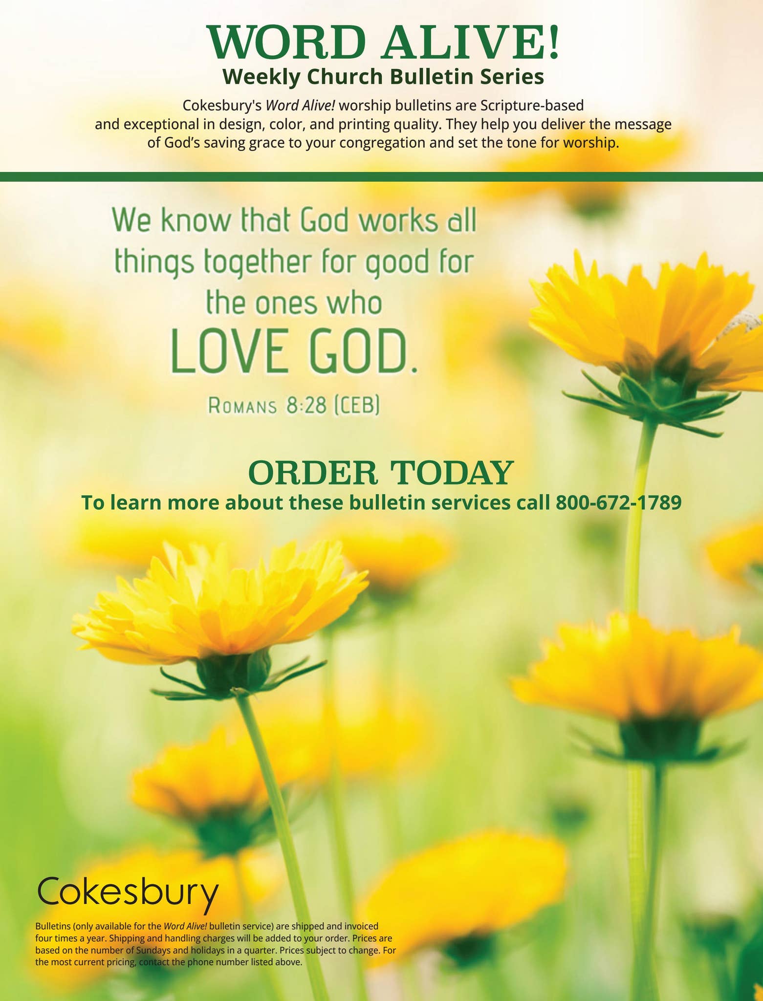 Word Alive Bulletins eCatalog 2025_2026 by United Methodist Publishing ...