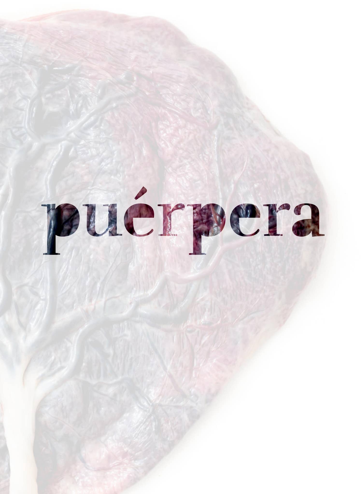 Puérpera de Deborah Elenter (UY) by Centro de Fotografía de Montevideo ...