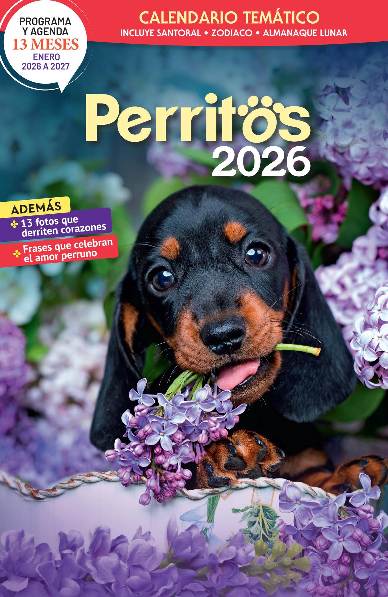 PERRITOS 2026 COL by EDIYCON - Issuu
