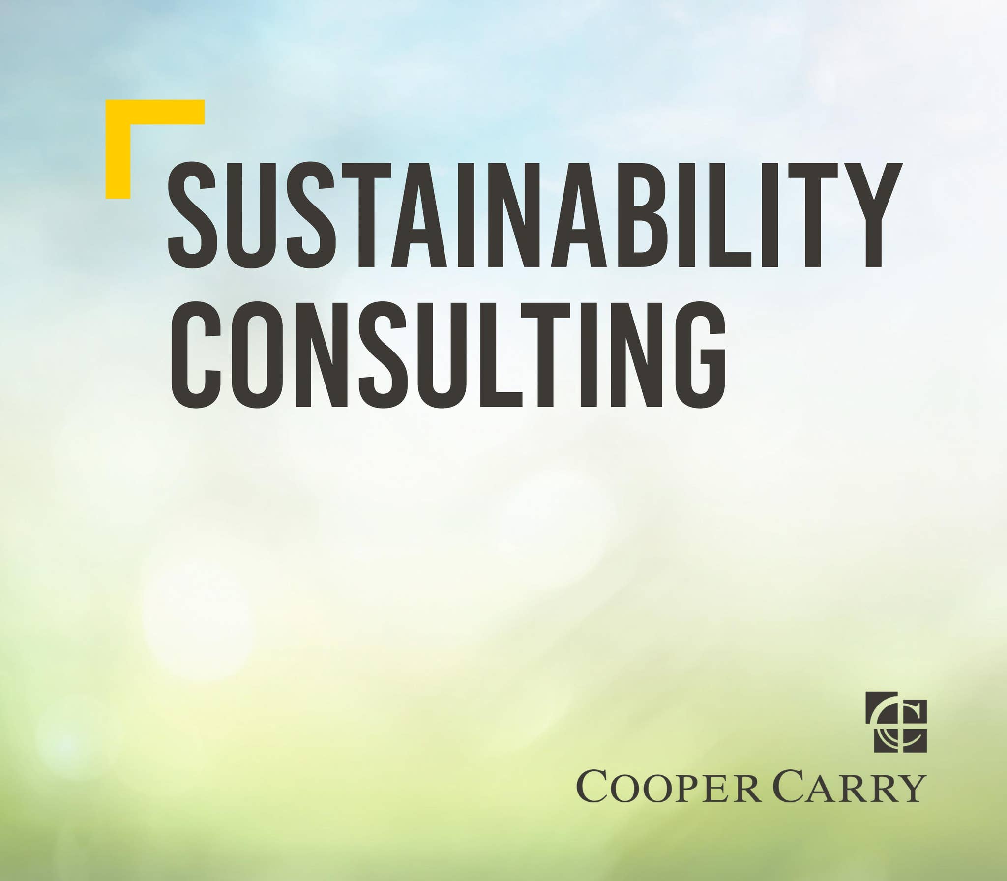 Cooper Carry's Sustainability Brochure by Cooper Carry - Issuu