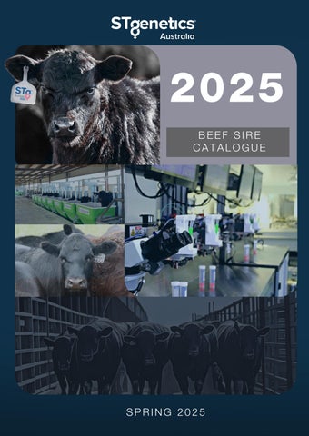 STg Australia Spring Beef Catalogue by Stgen Australia - Issuu