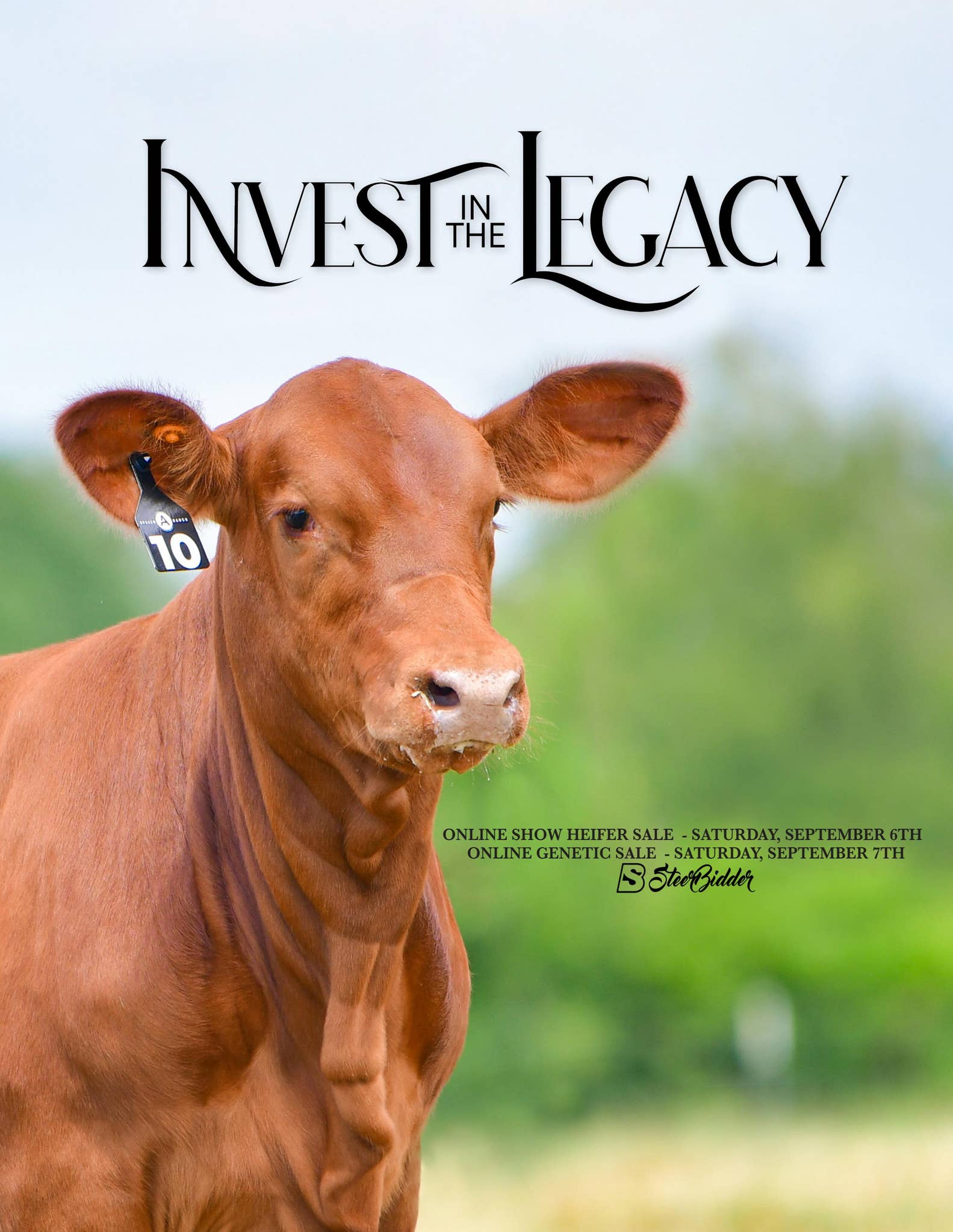Invest in the Legacy | Volume II by bolesmarketingco - Issuu