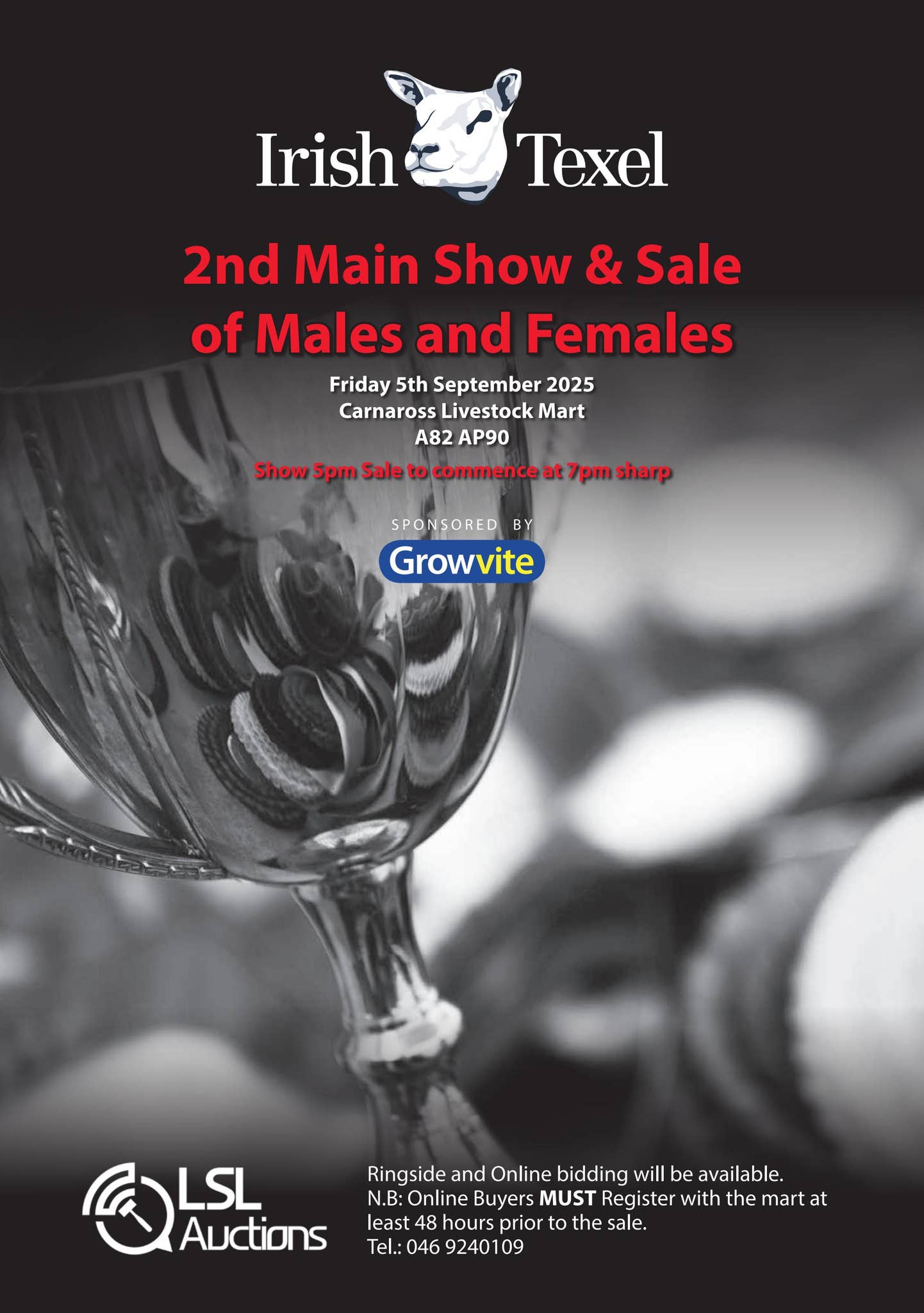 Irish Texel Carnaross Sale 5th September by Irish Texel Sheep Society ...