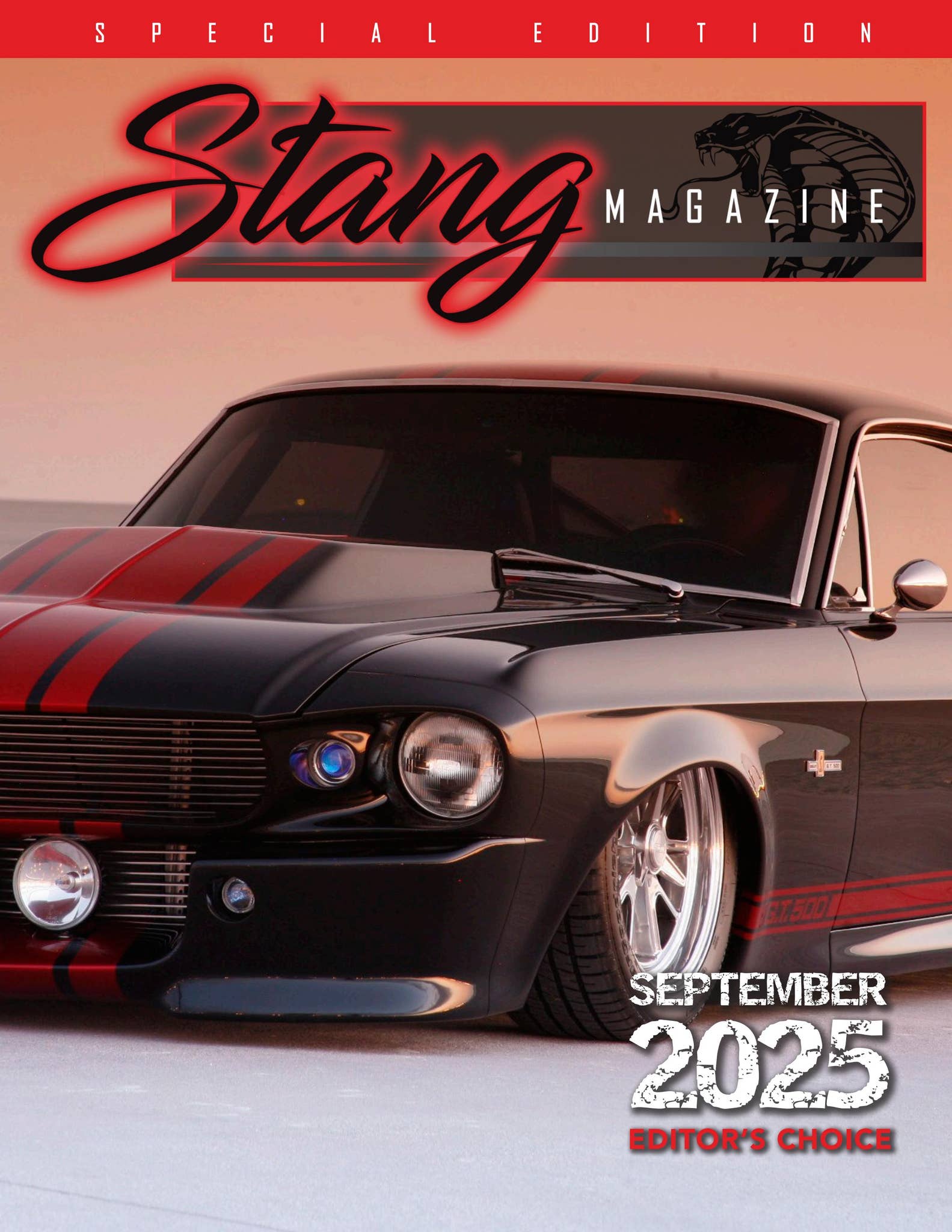 STANG Magazine Special Edition Issue: September 2025 Editor's Choice by ...