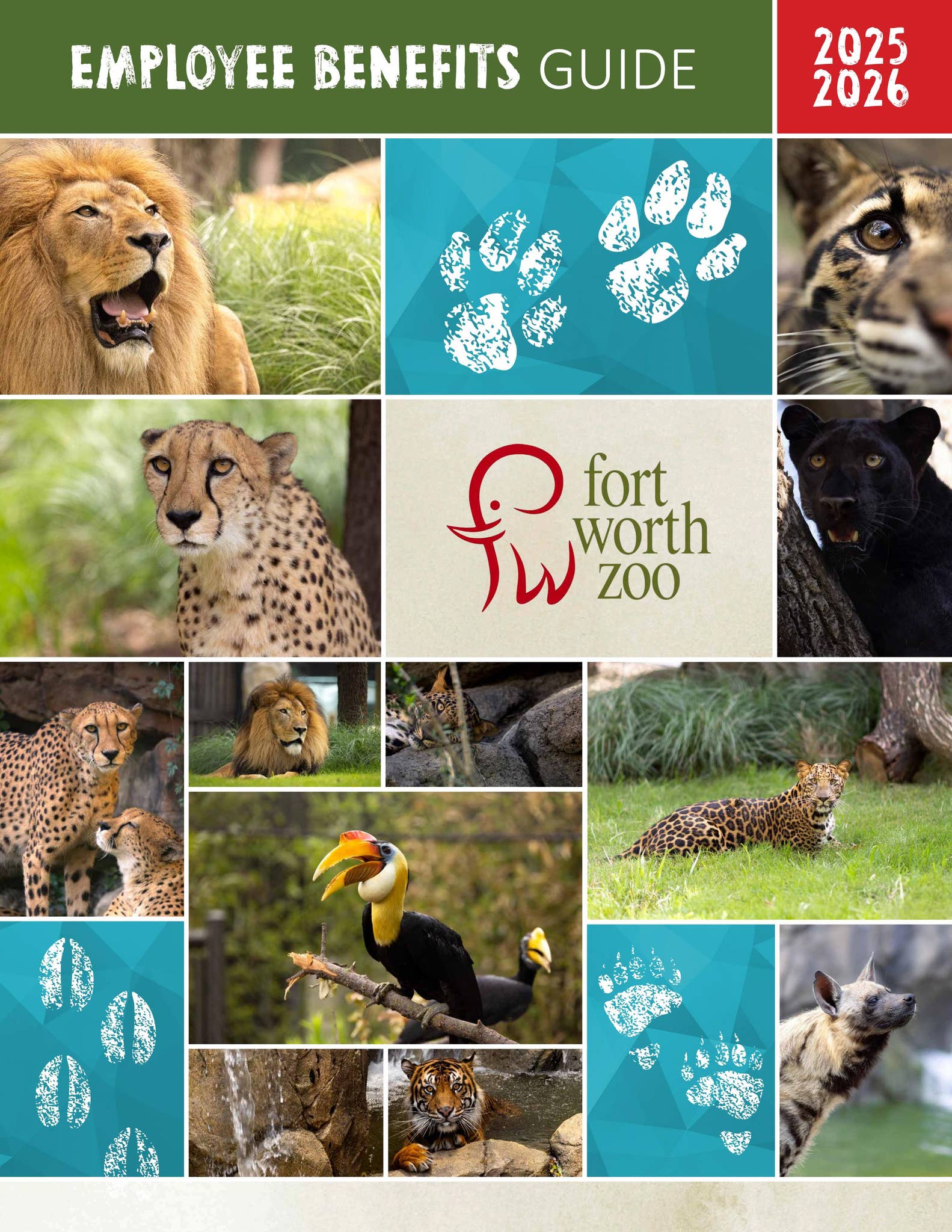 2025-2026 Fort Worth Zoo Employee Benefits Guide by Higginbotham Public ...