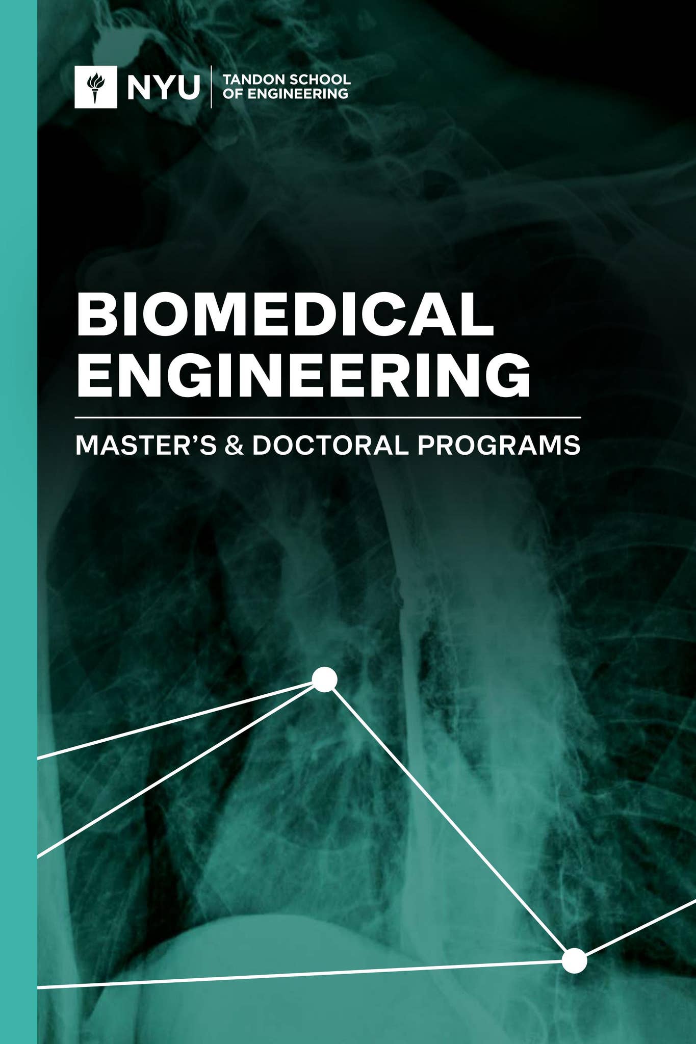 Biomedical Engineering Master S Doctoral Programs By Spark451 Issuu