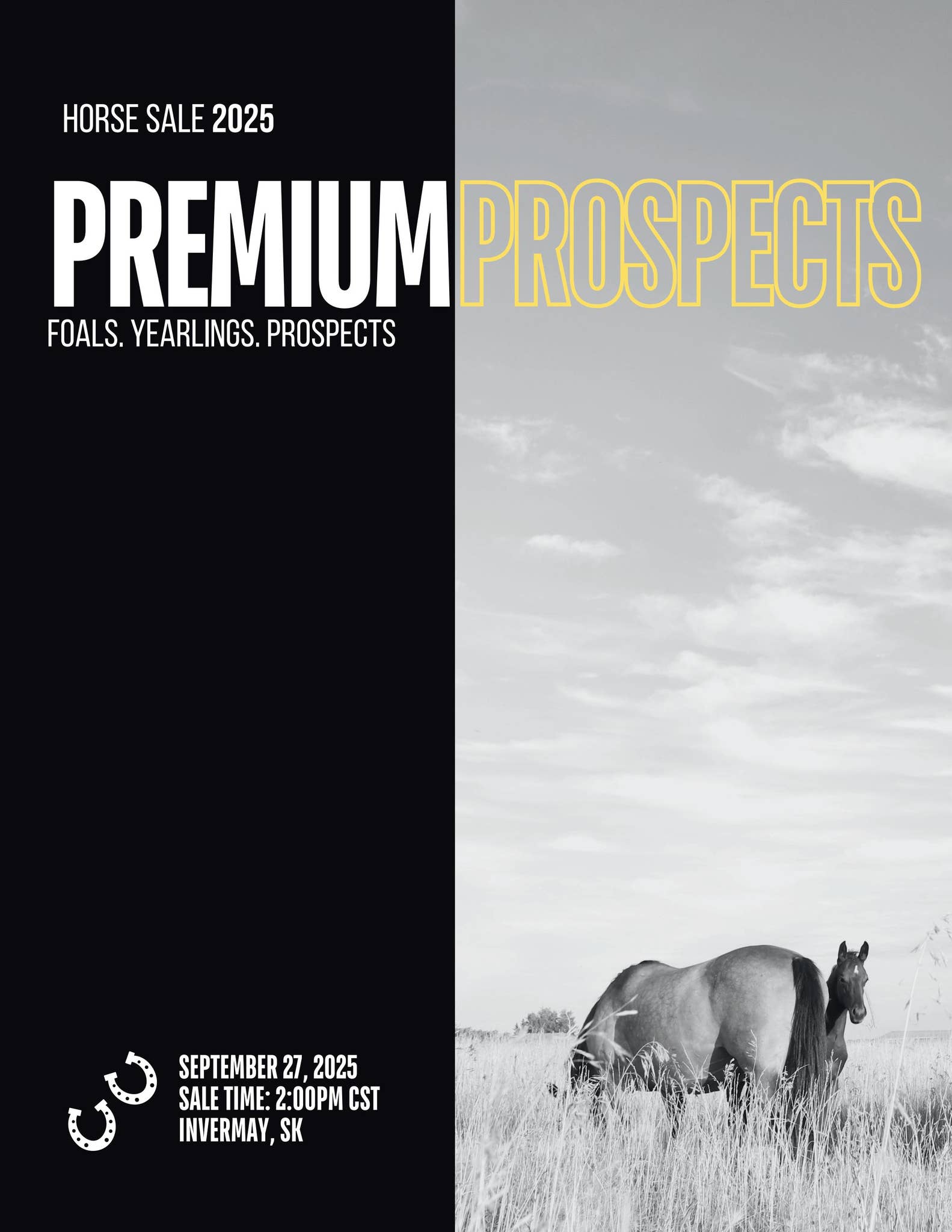 Premium Prospects Horse Sale by Britt-Ross - Issuu