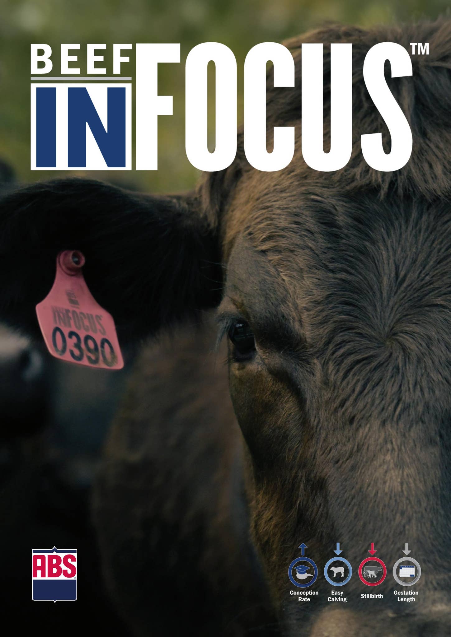 ABS AUSTRALIA BEEF INFOCUS 2025 by ABS Global, Inc. - Issuu