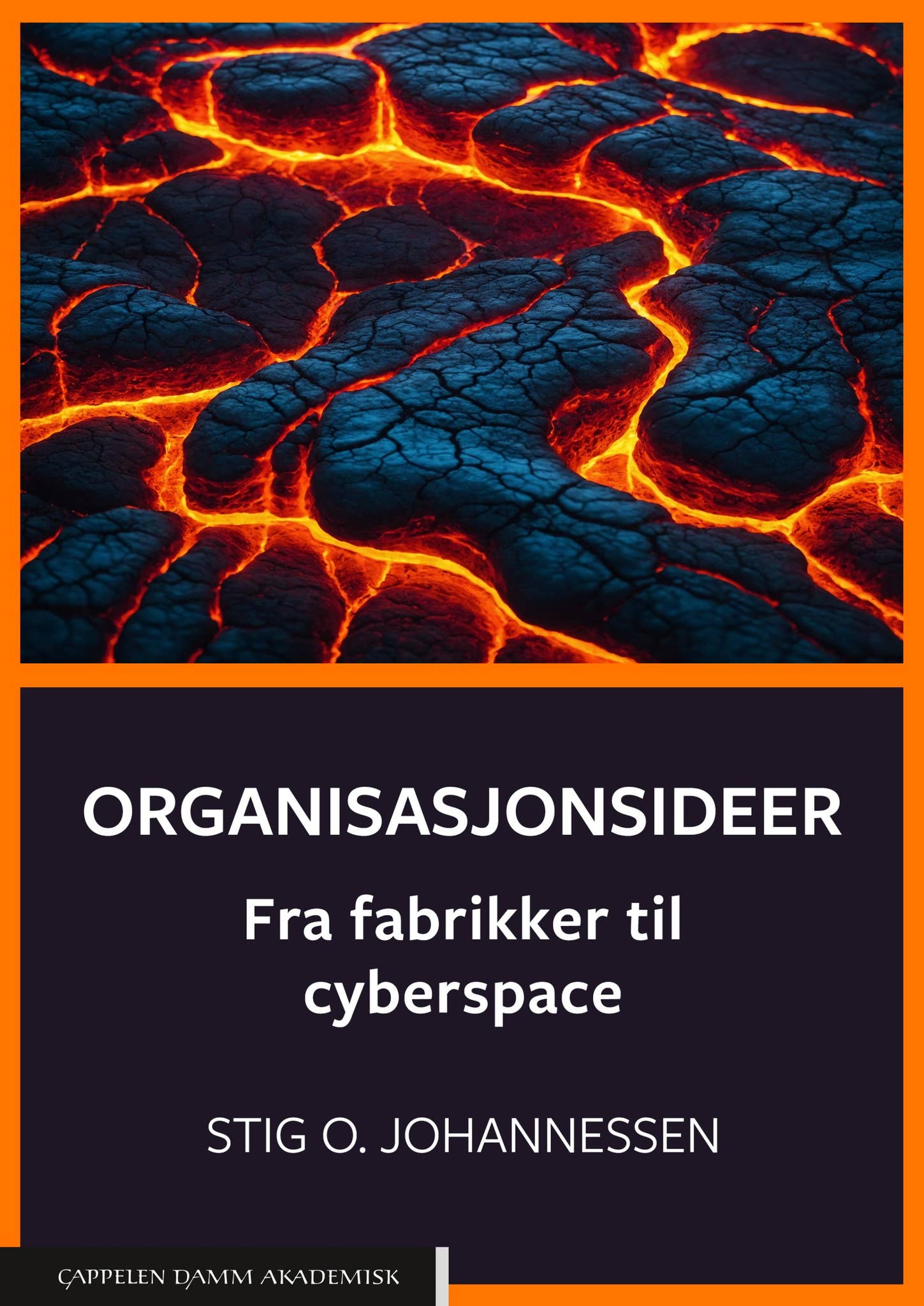 Organisasjonsideer av Stig O. Johannessen (utdrag) by Cappelen Damm - Issuu