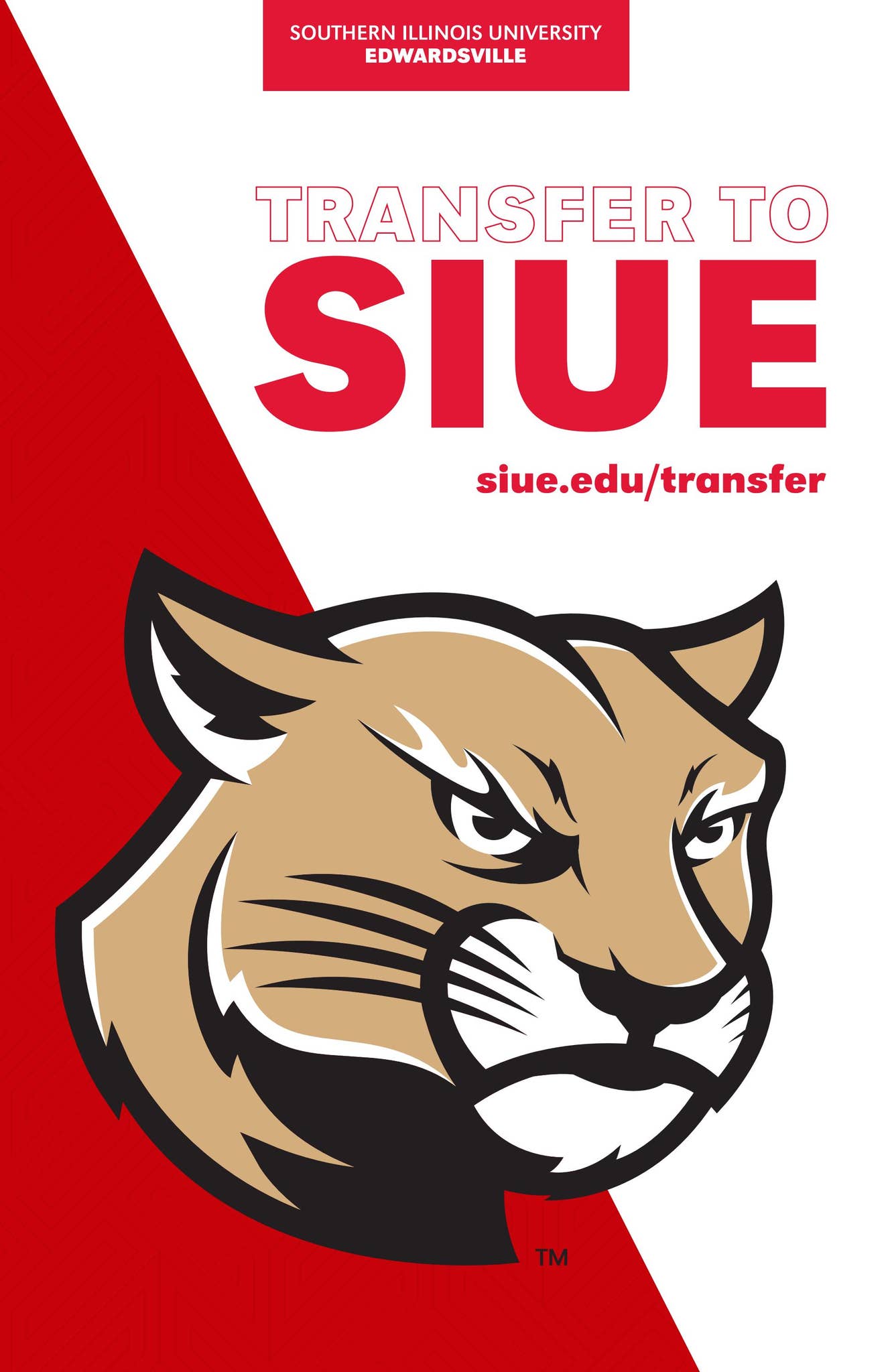 2025 SIUE Transfer Brochure by SIUE - Issuu