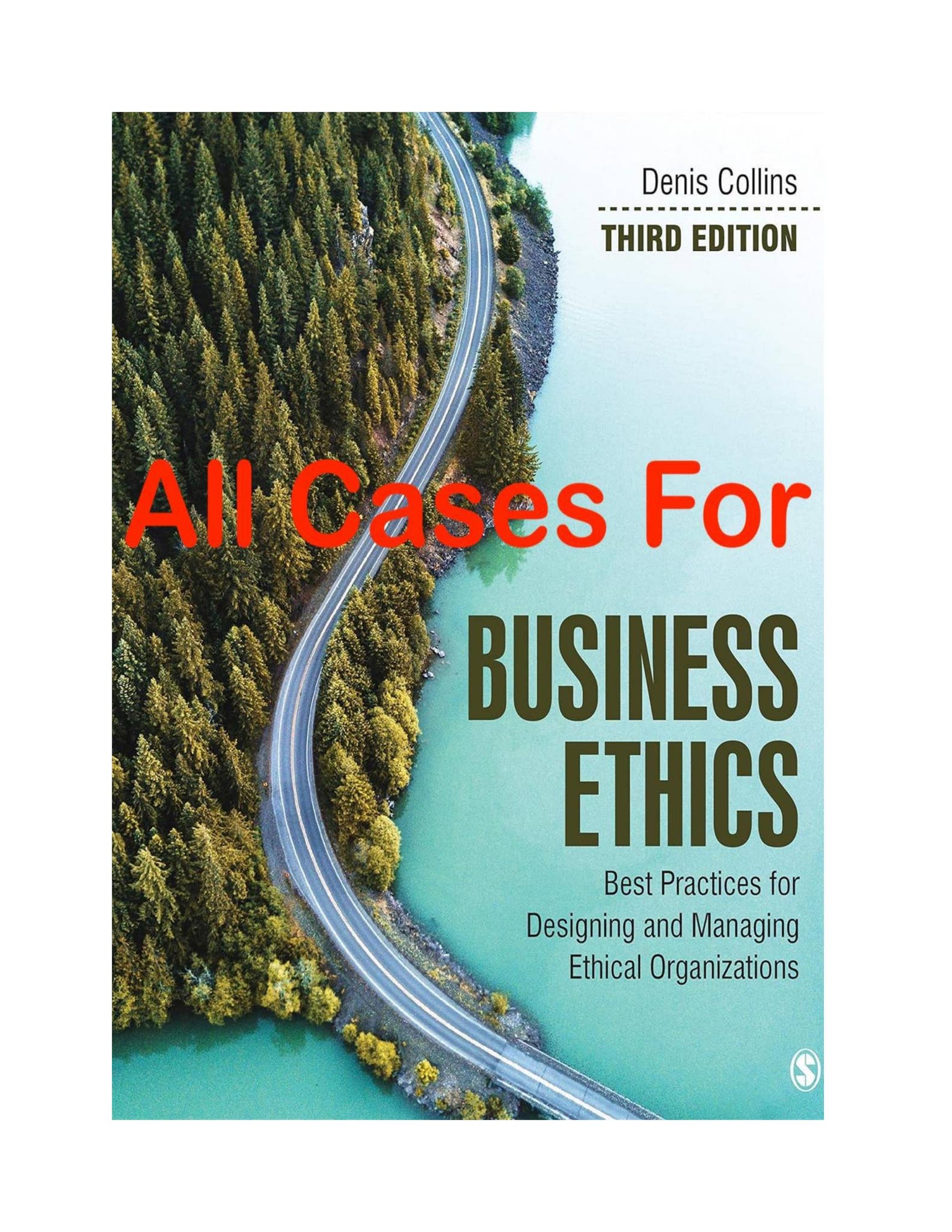 All Cases For Business Ethics Best Practices for Designing and Managing ...