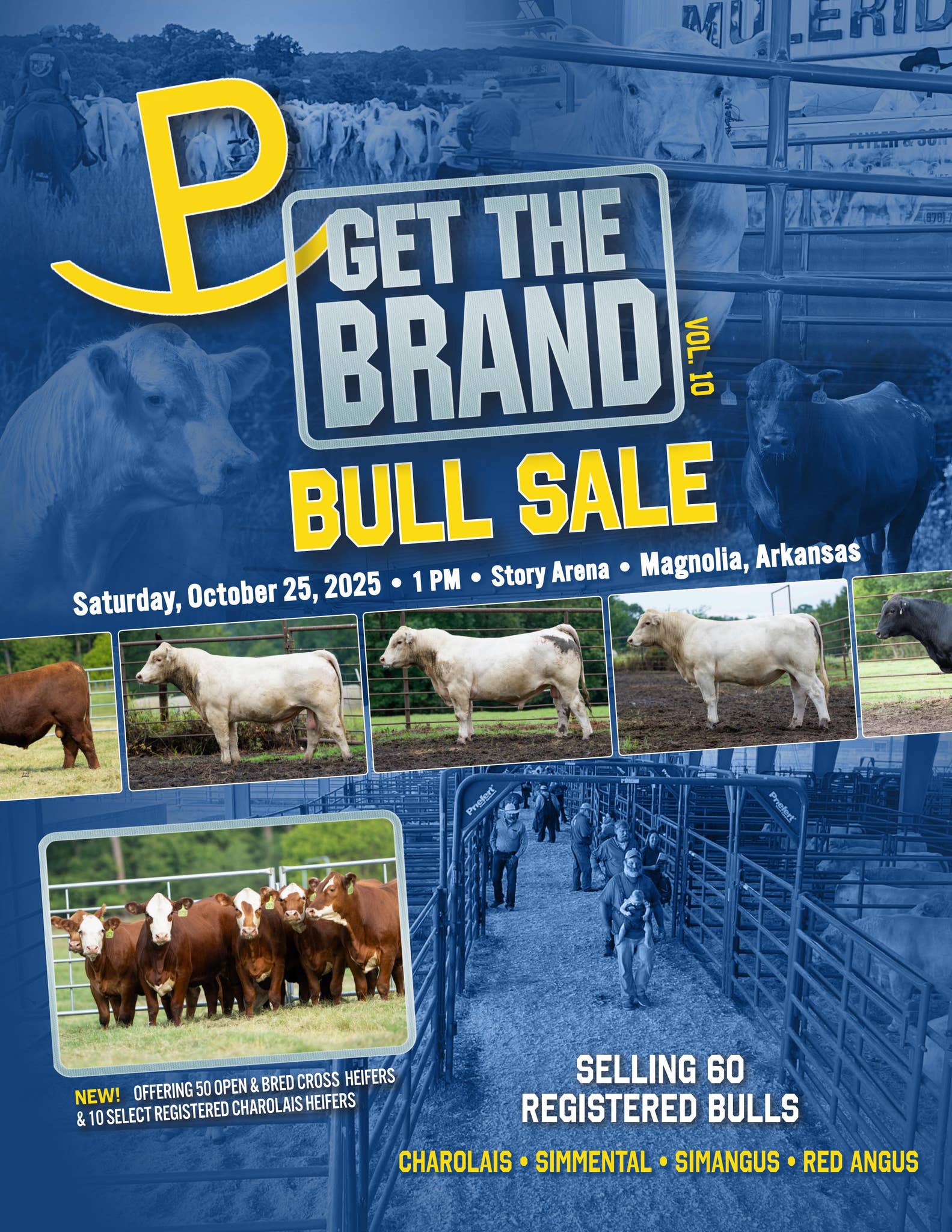 Plyler and Son Get The Brand Vol. 10 Bull Sale by JWC Marketing - Issuu