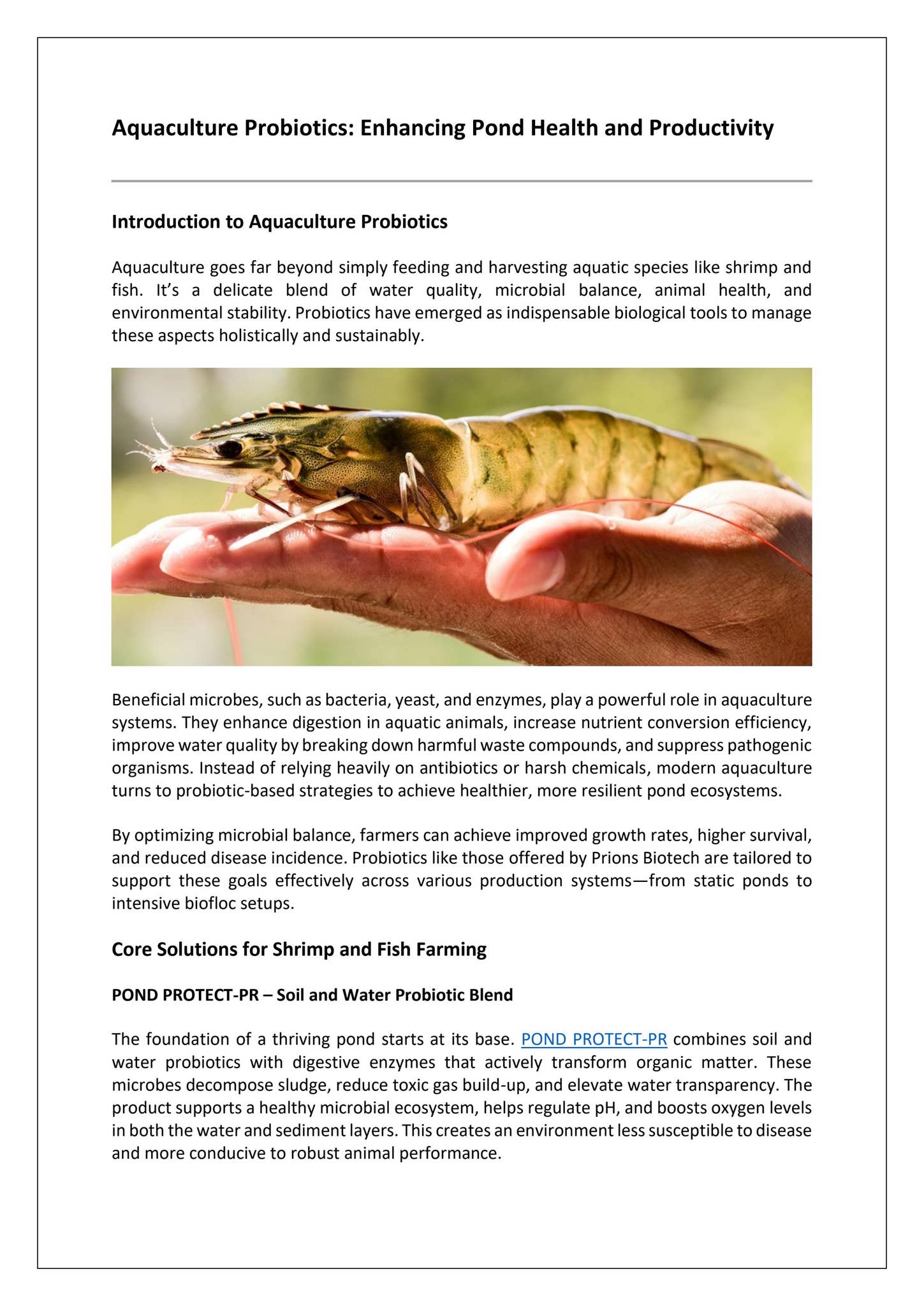 Innovative Aquaculture Solutions by Prions Biotech by prisonsbiotech ...