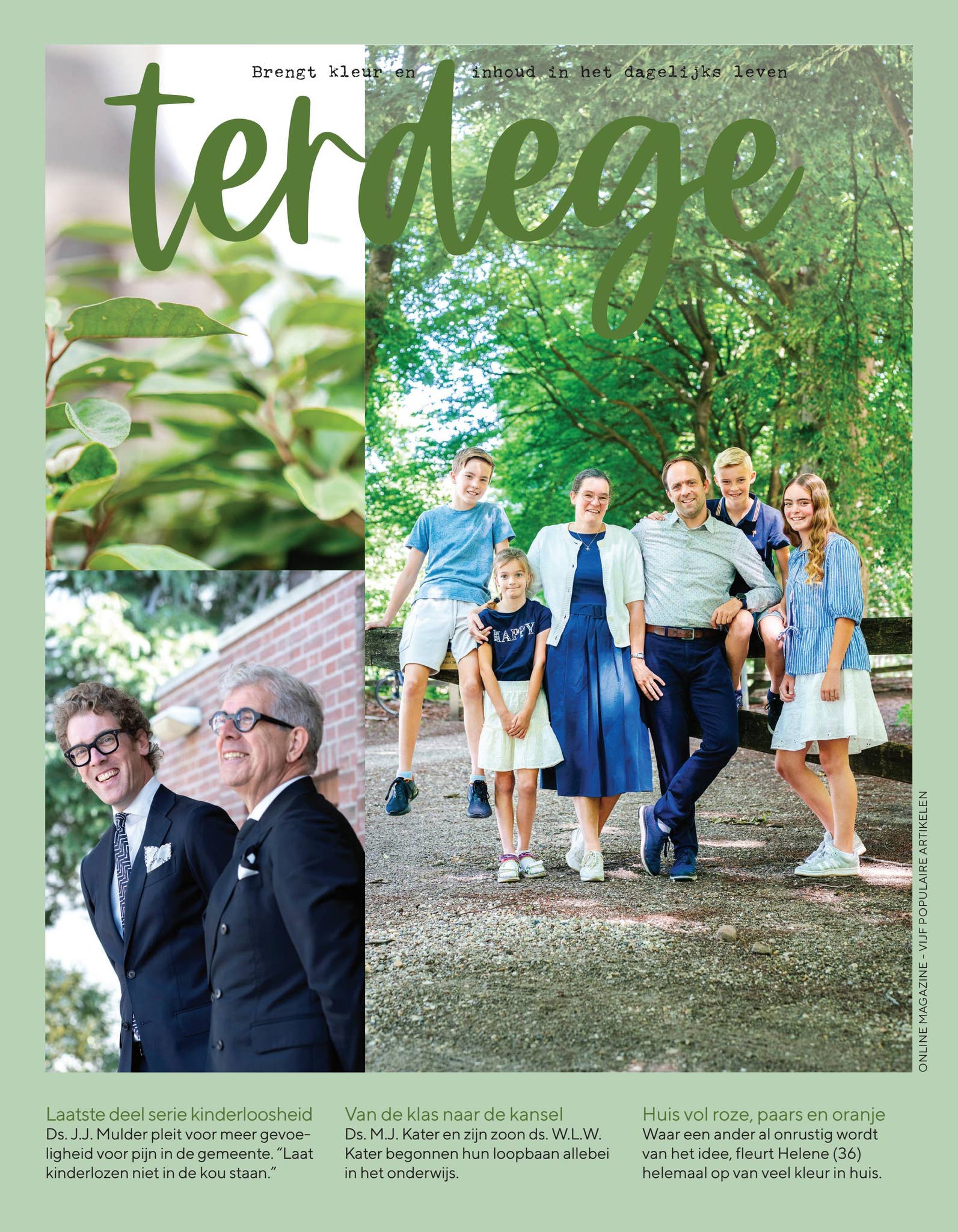 Online magazine-5 populairste artikelen Terdege-spreads-2025 by Erdee ...