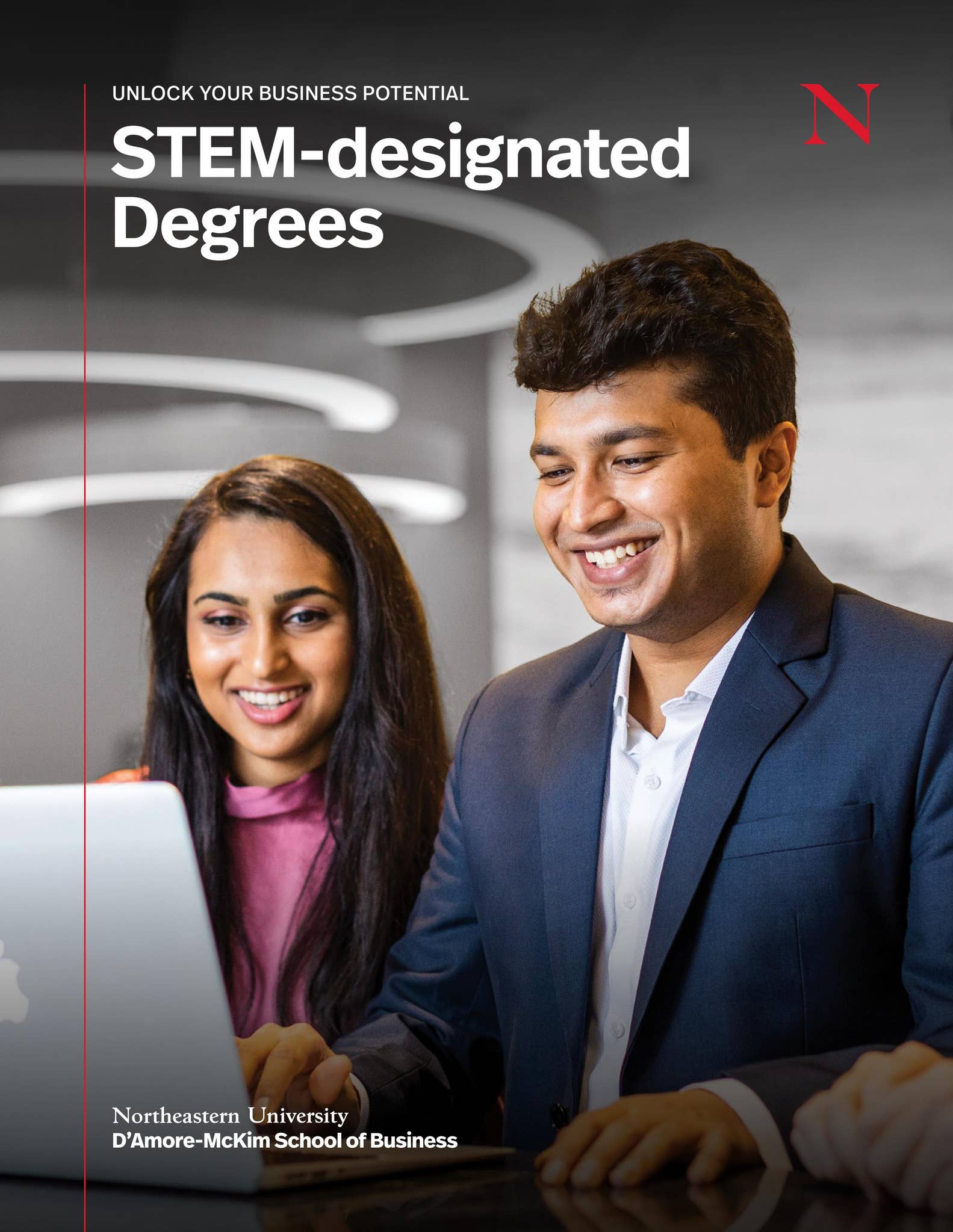 D'Amore-McKim STEM-designated degree programs by D’Amore-McKim School ...