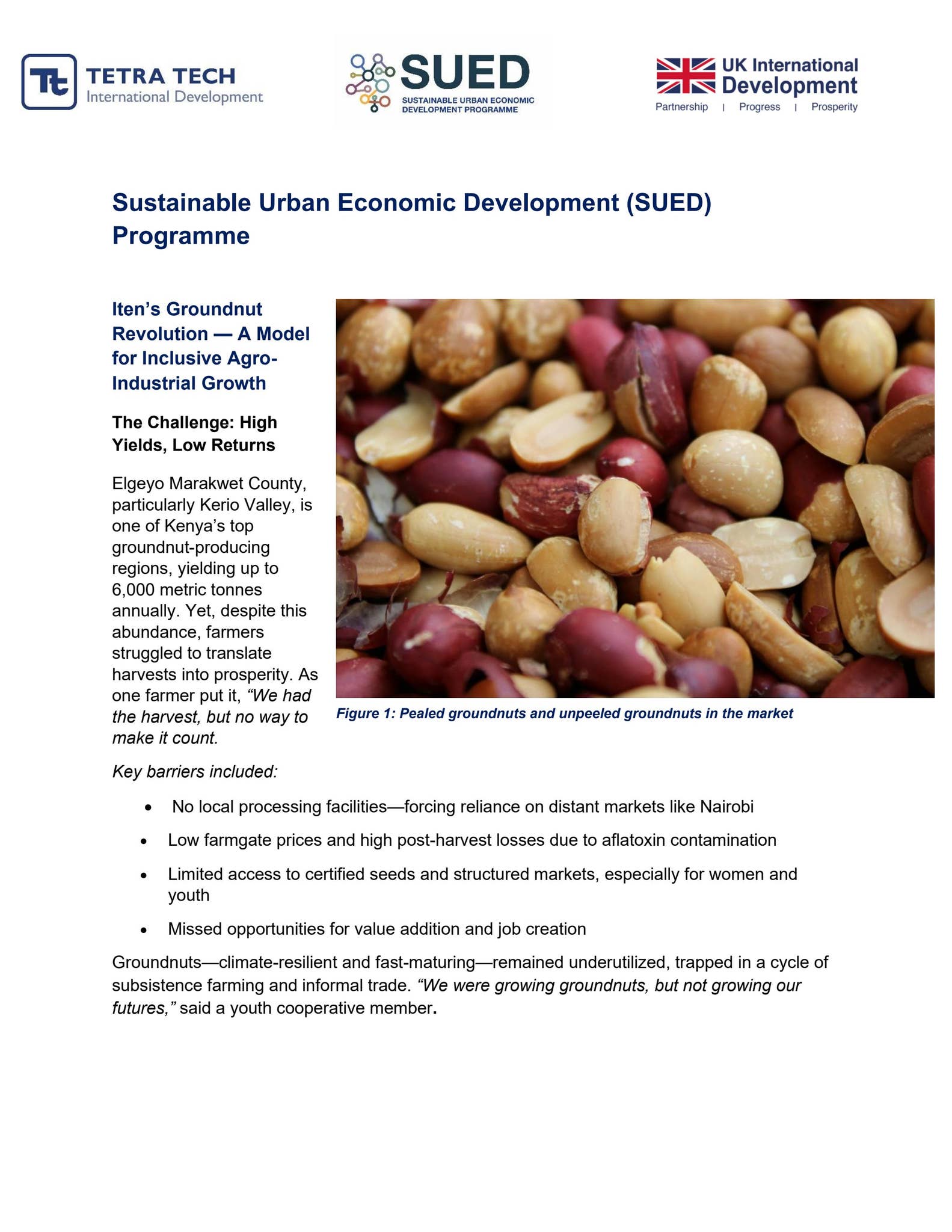 Success Story 2 - Iten’s Groundnut Revolution: A Model for Inclusive ...