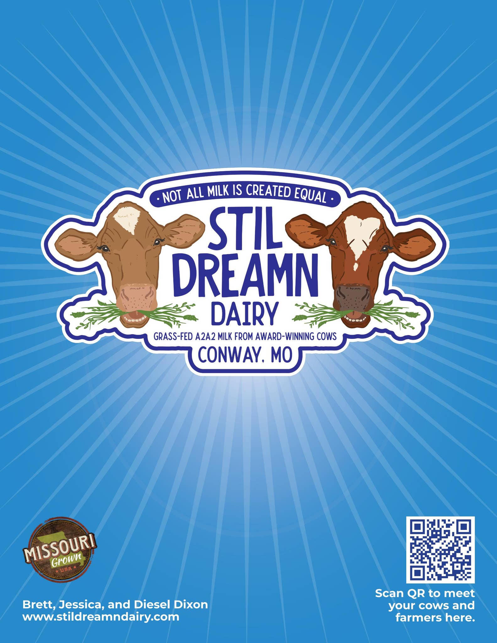 Stil Dreamn Dairy 4page Flyer v2 by Eugenia Schmalhorst - Issuu