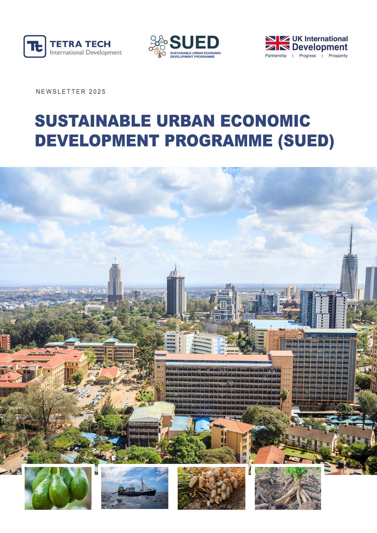 Sustainable Urban Economic Development Programme - Newsletter 2025 by ...