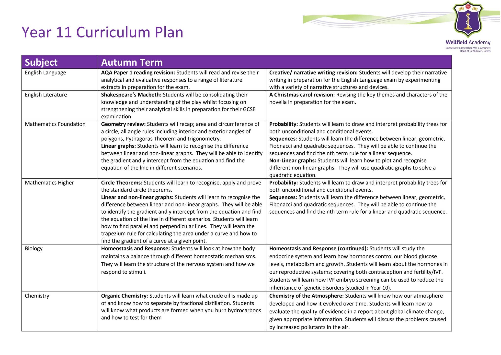 Y11 curriculum plan 2025-2026 by Schudio - Issuu