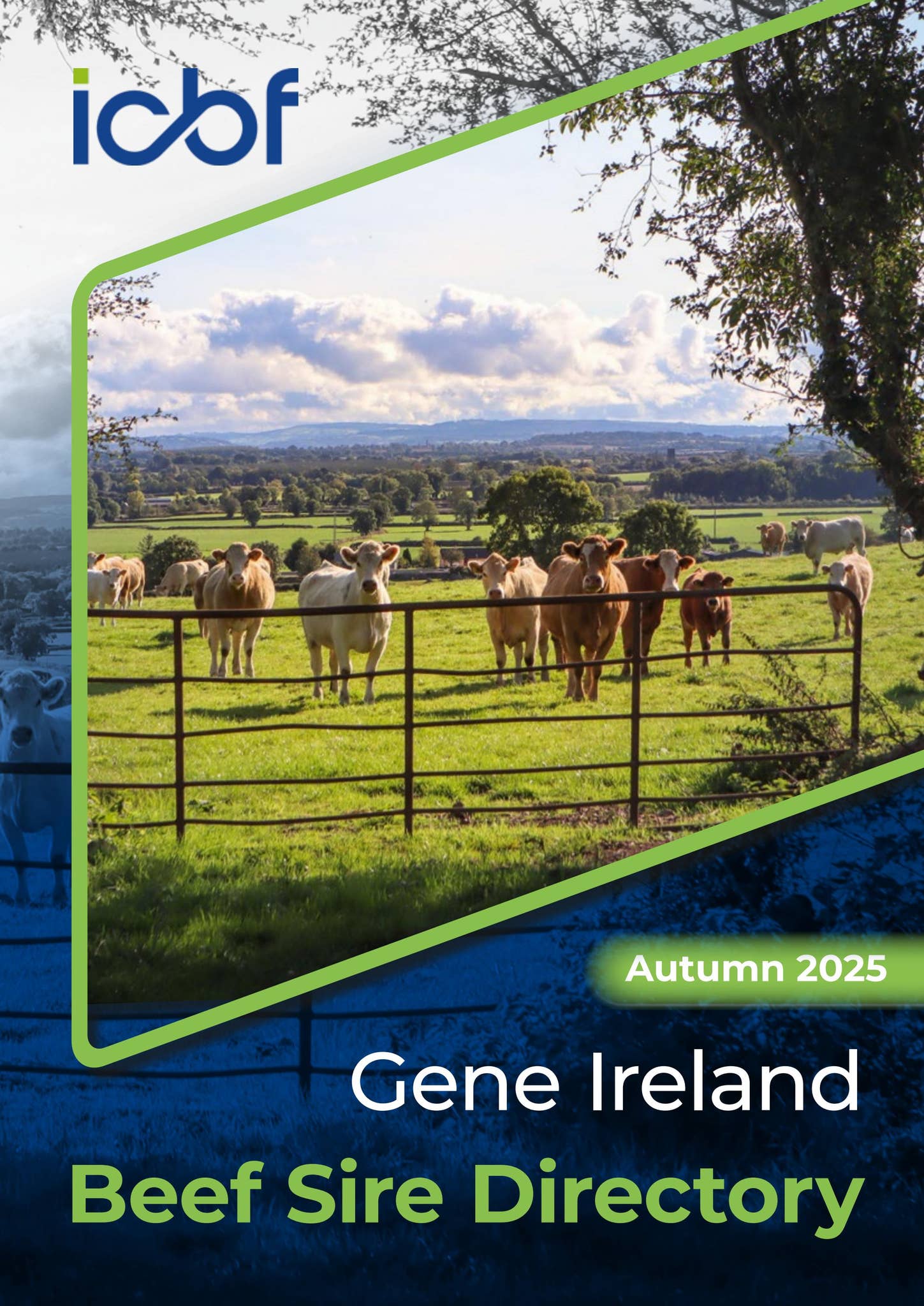 Beef Gene Ireland Autumn 2025 Directory by ICBF - Issuu