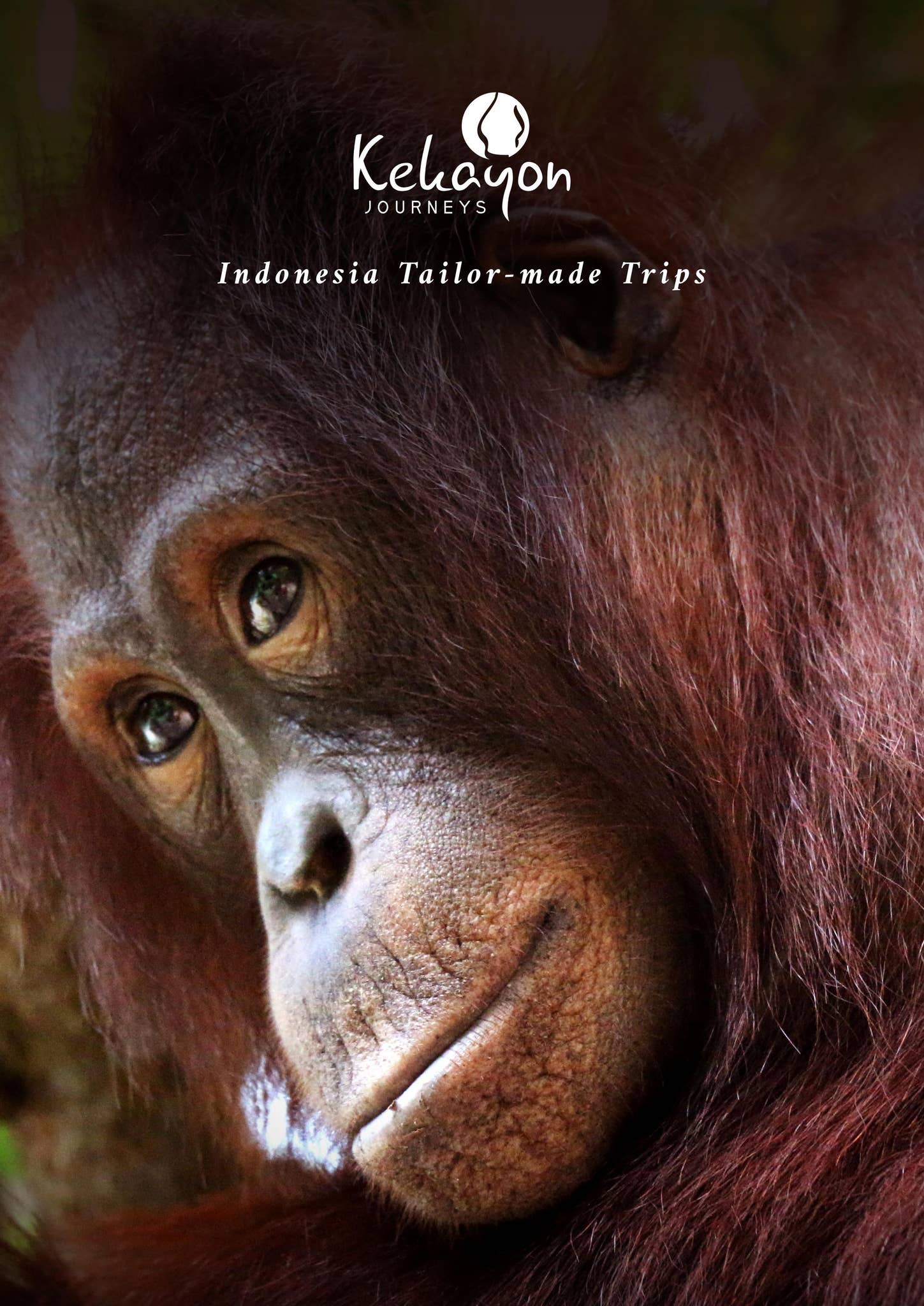 Indonesia Awaits: A Decade of Journeys by kekayonjourneys - Issuu